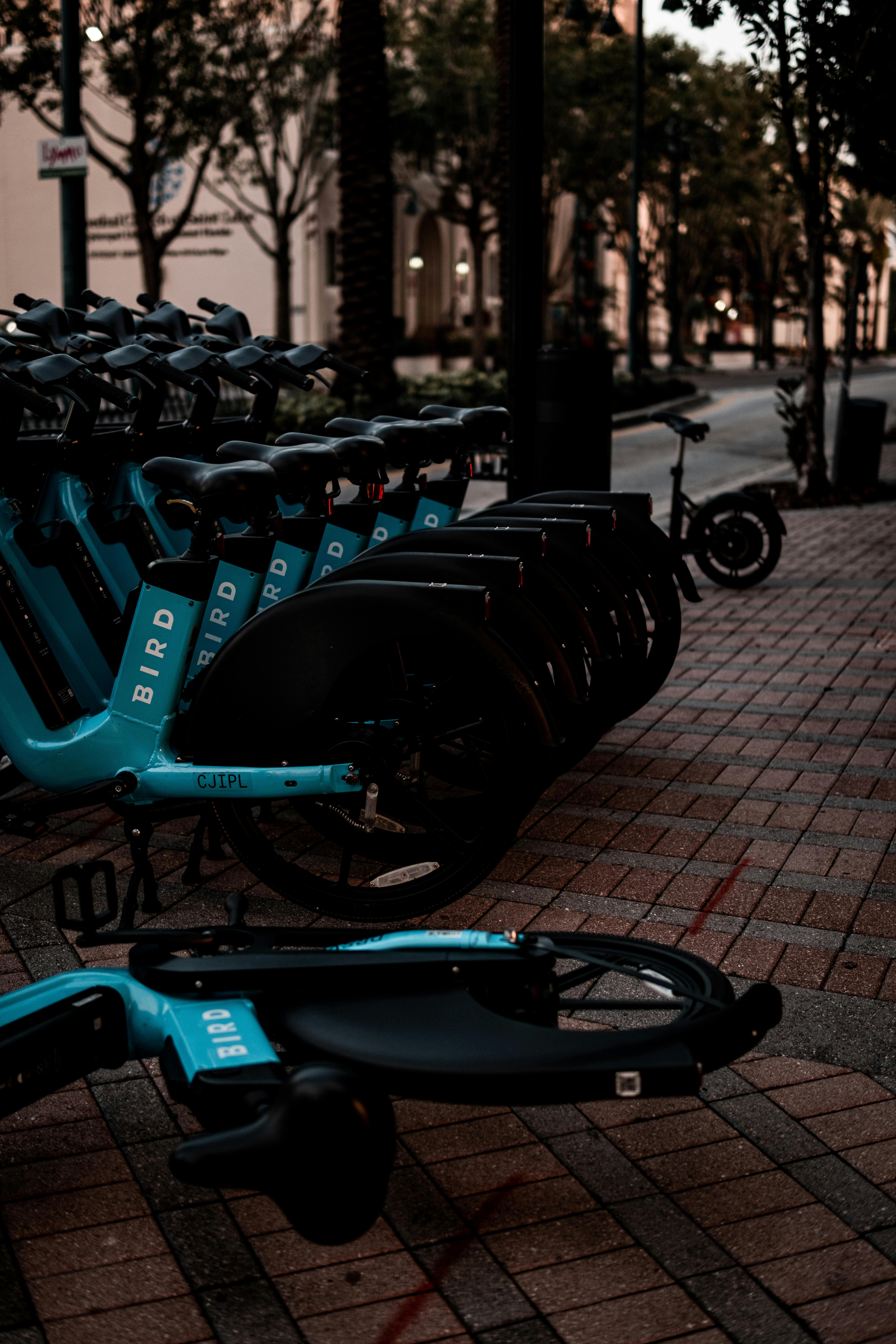 4k Row Photos, Download The BEST Free 4k Row Stock Photos & HD Images