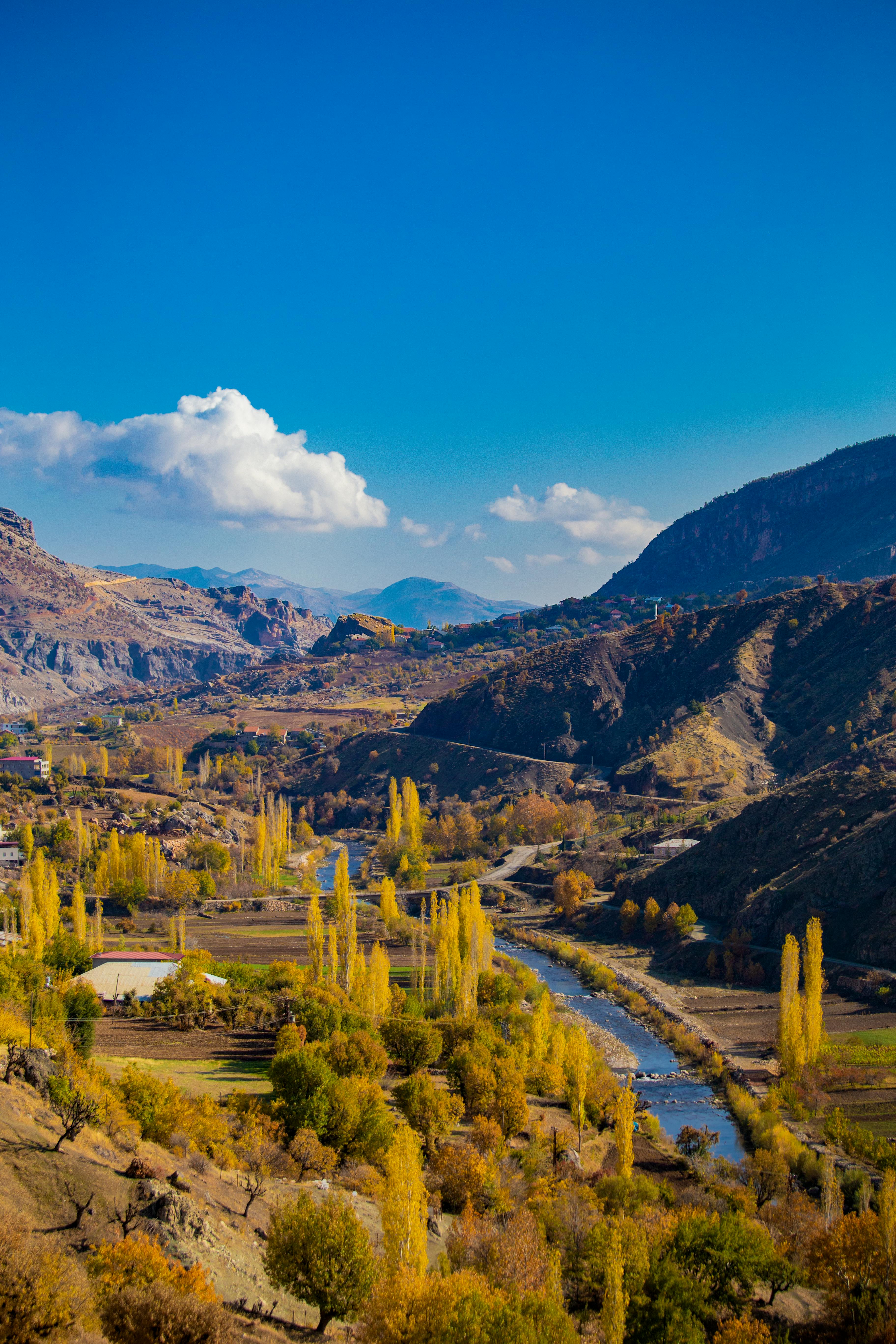 Golden Trees in Autumn Near Mountains Under Blue Sky · Free Stock Photo