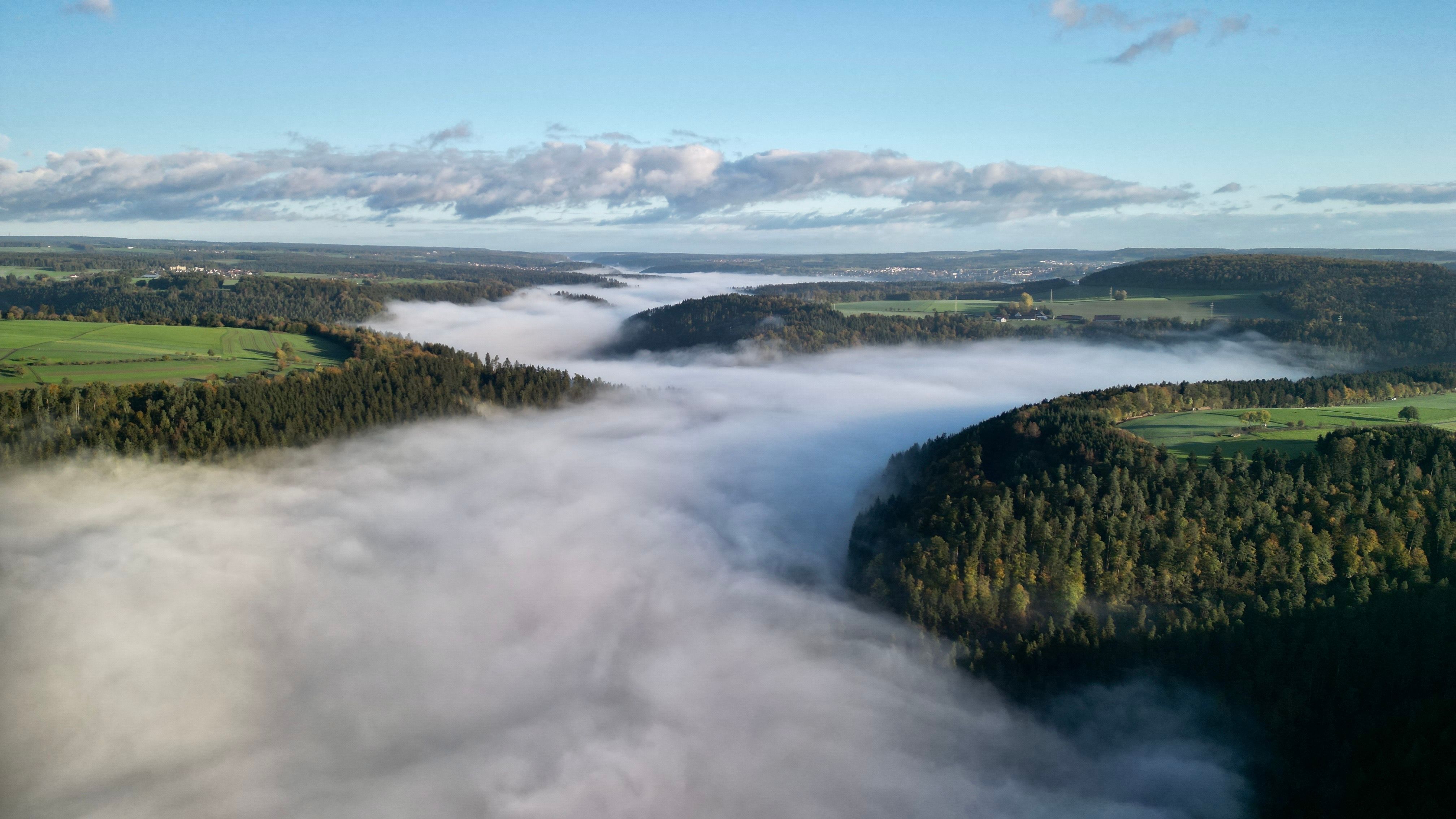 Forest Clouds Photos, Download The BEST Free Forest Clouds Stock Photos ...
