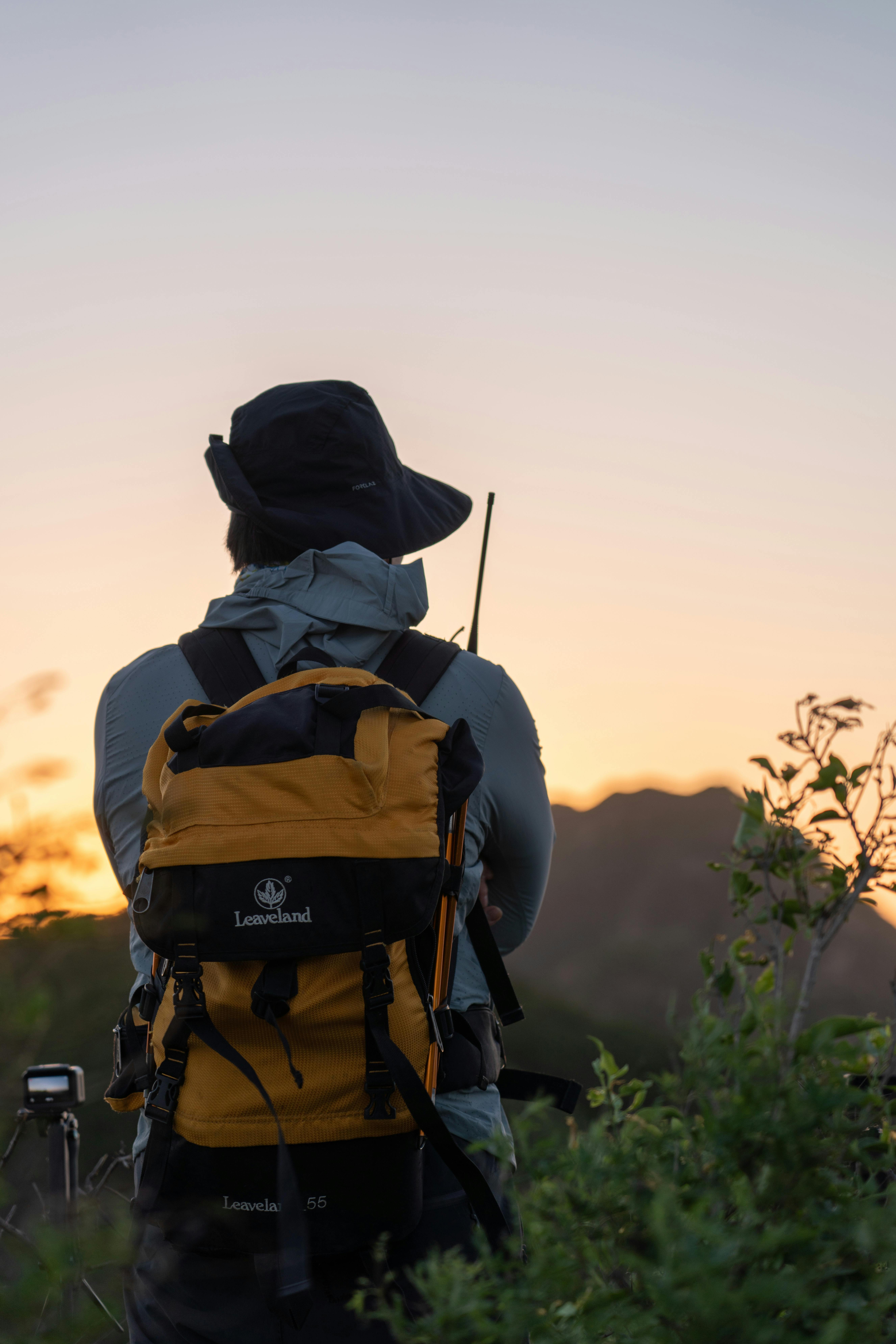 Back View of a Man with a Backpack · Free Stock Photo