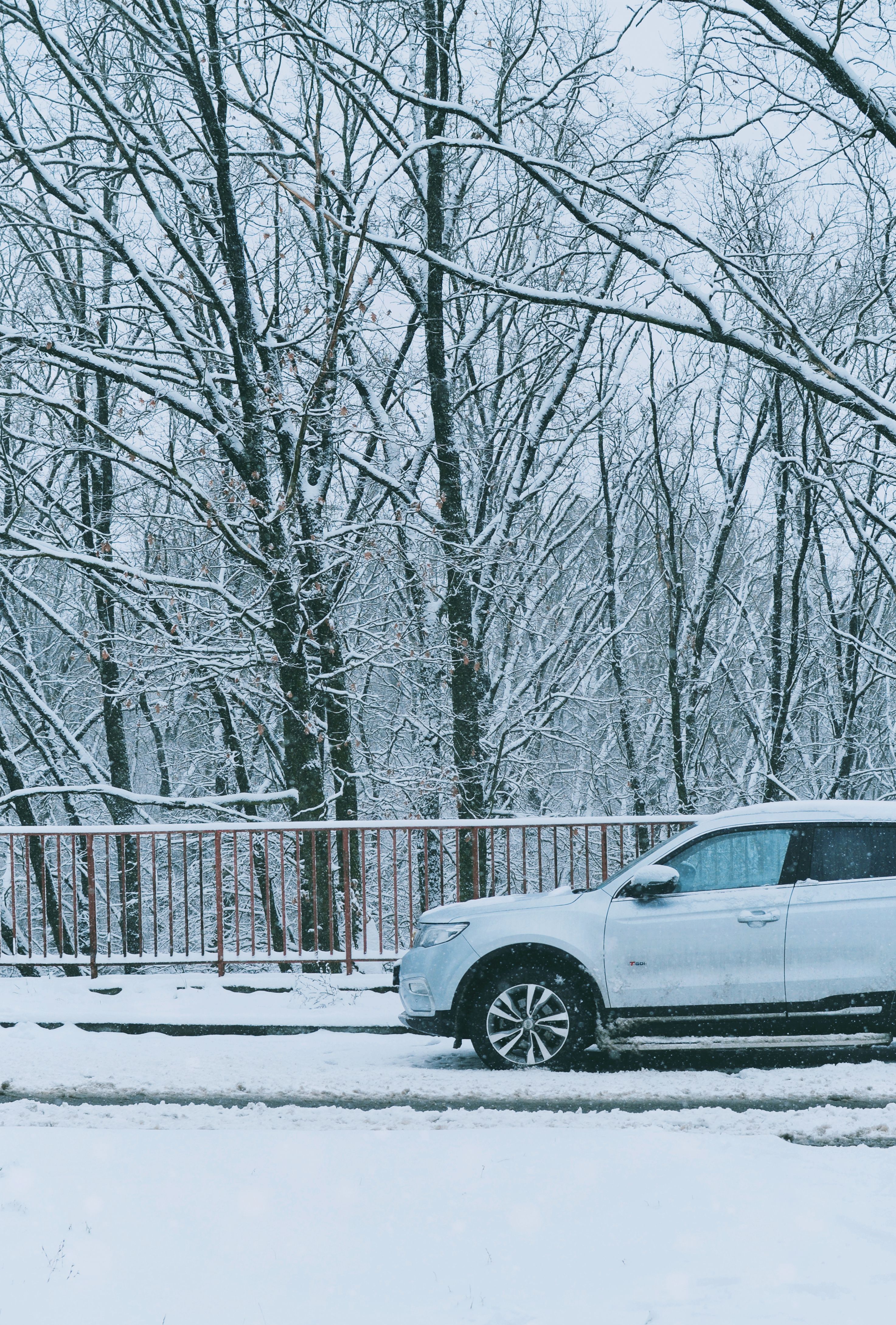 White Car near Leafless Trees · Free Stock Photo