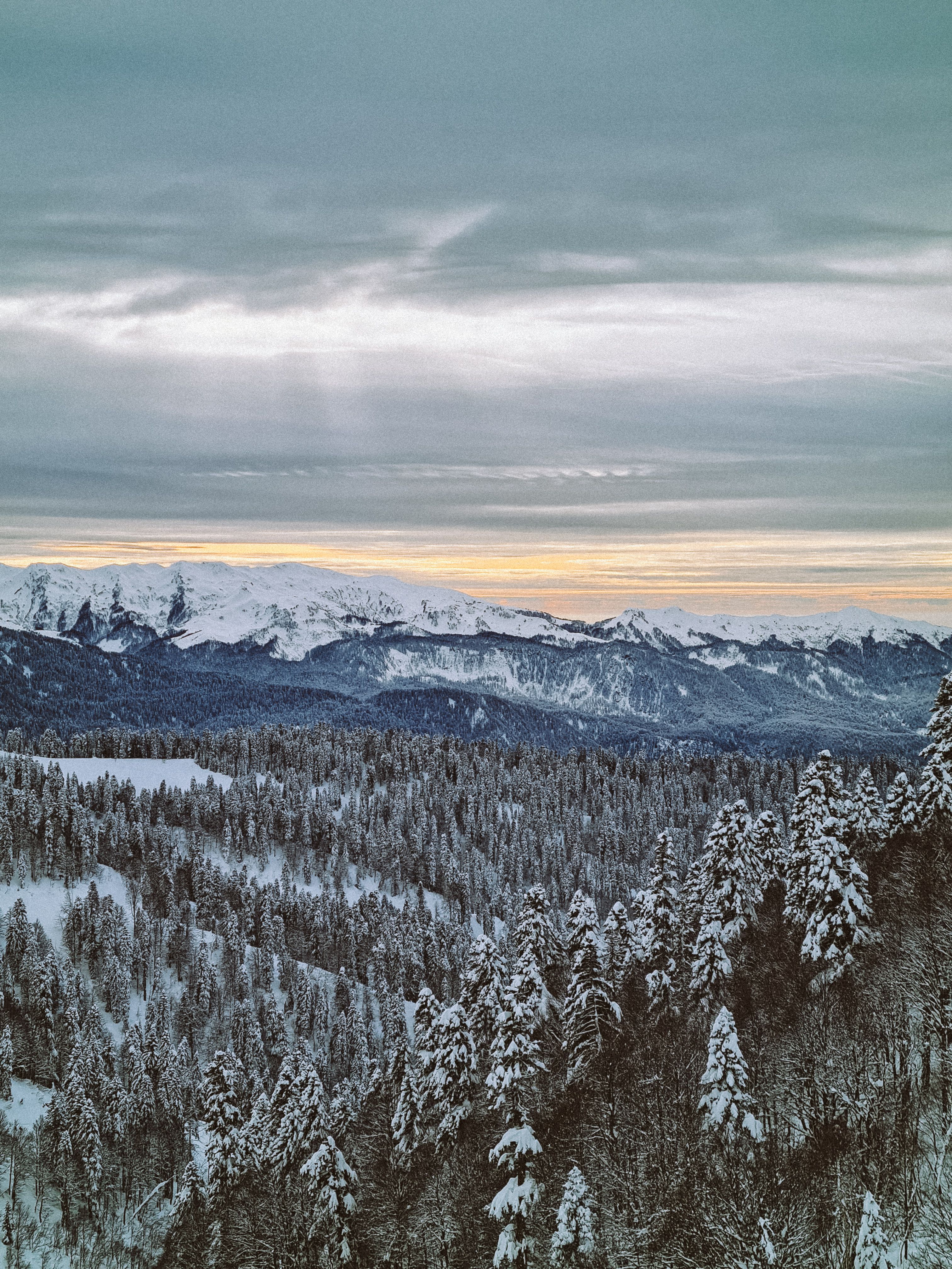 An Aerial Photography of Snow Covered Trees and Mountains · Free Stock ...