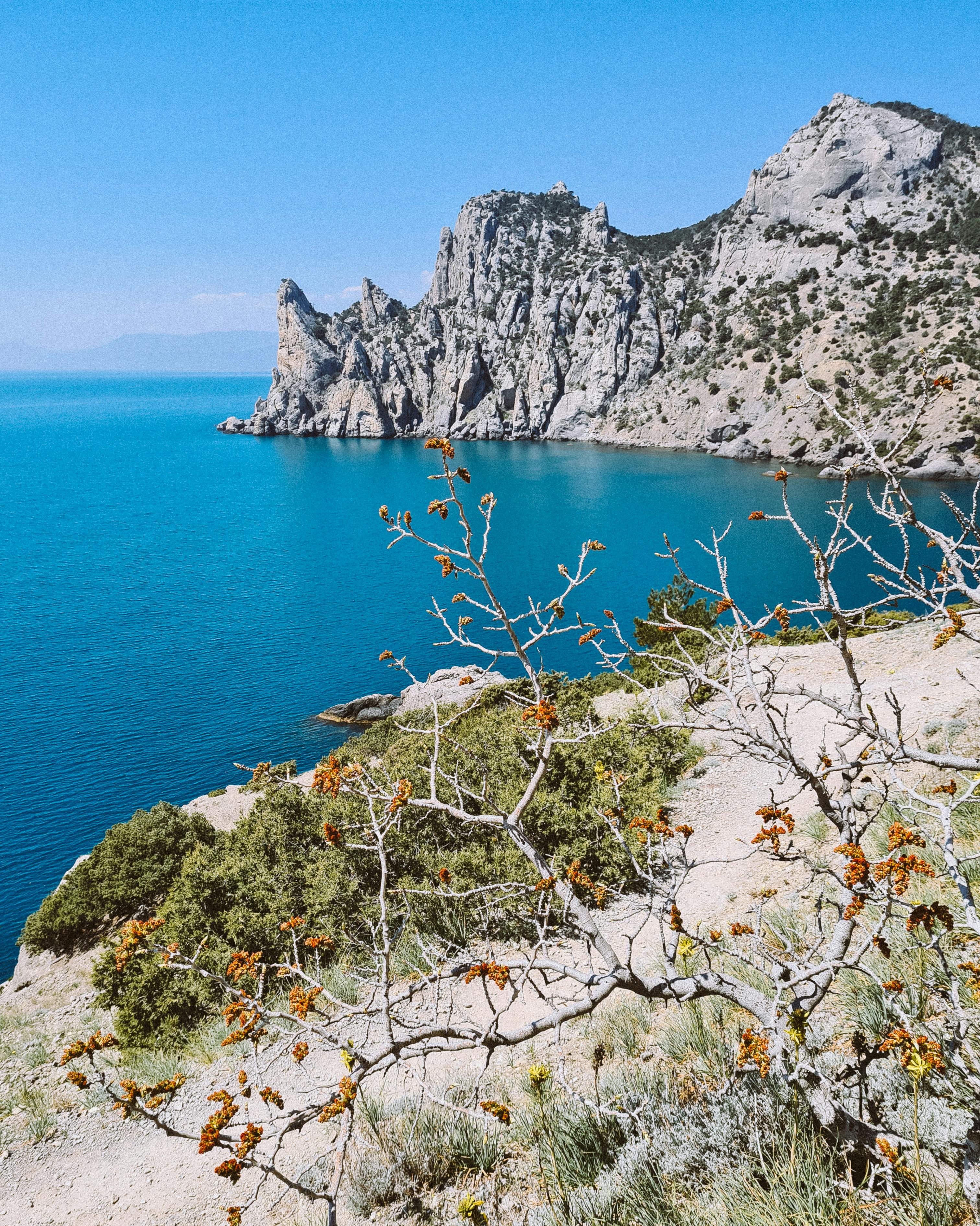 Ocean View From the Coastal Mountain · Free Stock Photo