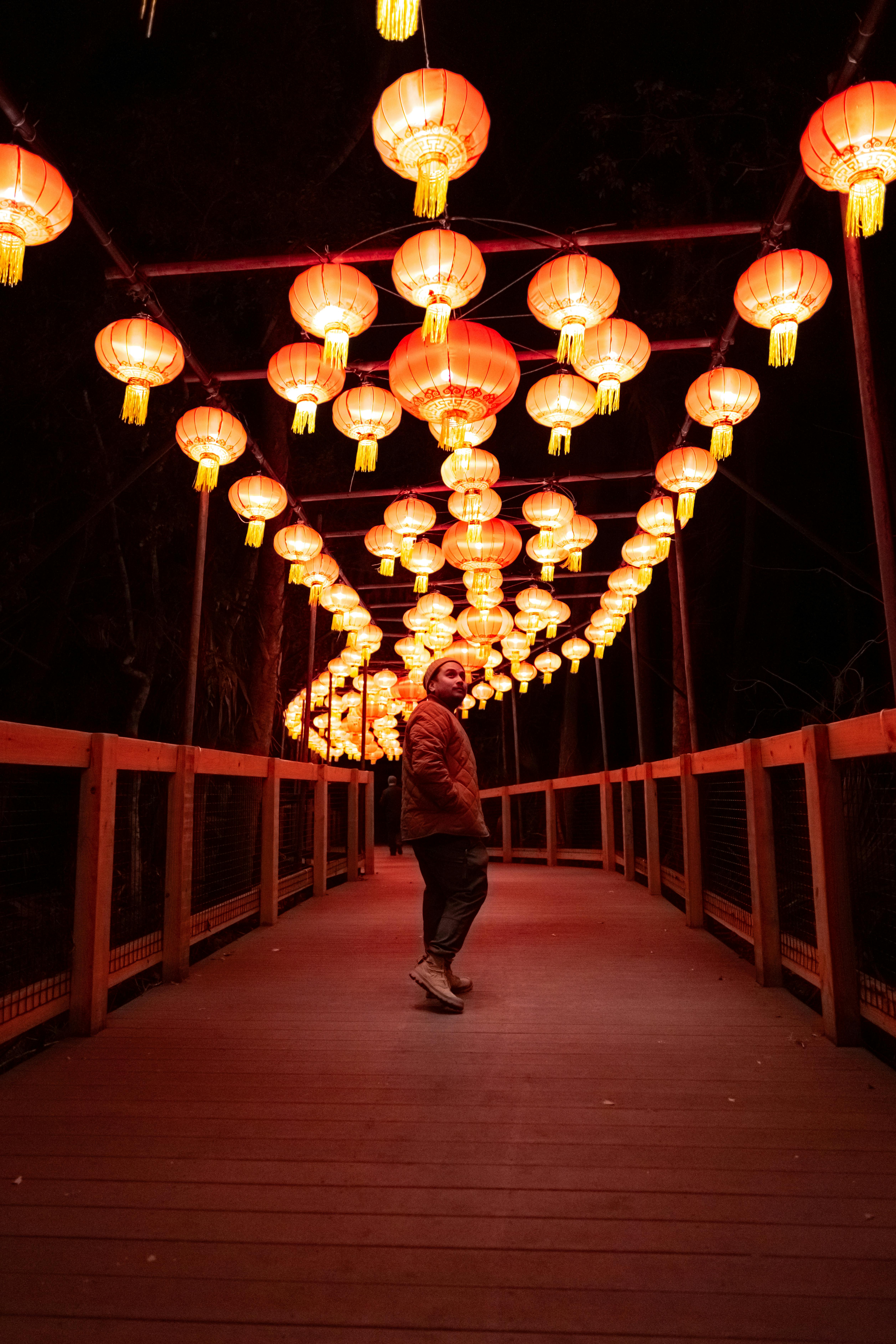 4k Video Free Festival Photos, Download Free 4k Video Free Festival ...