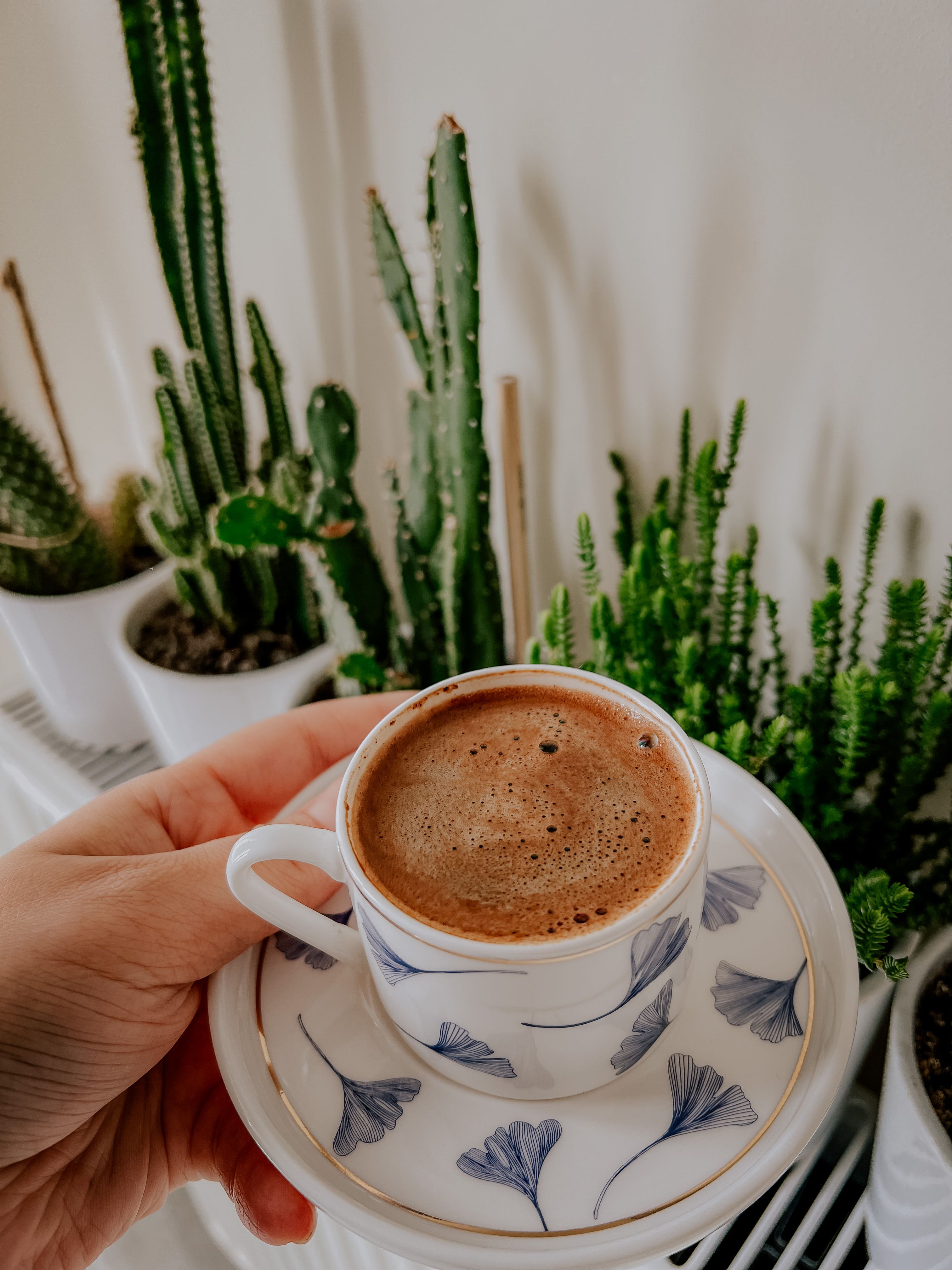 Butterfly Pea Tea in a Cup · Free Stock Photo
