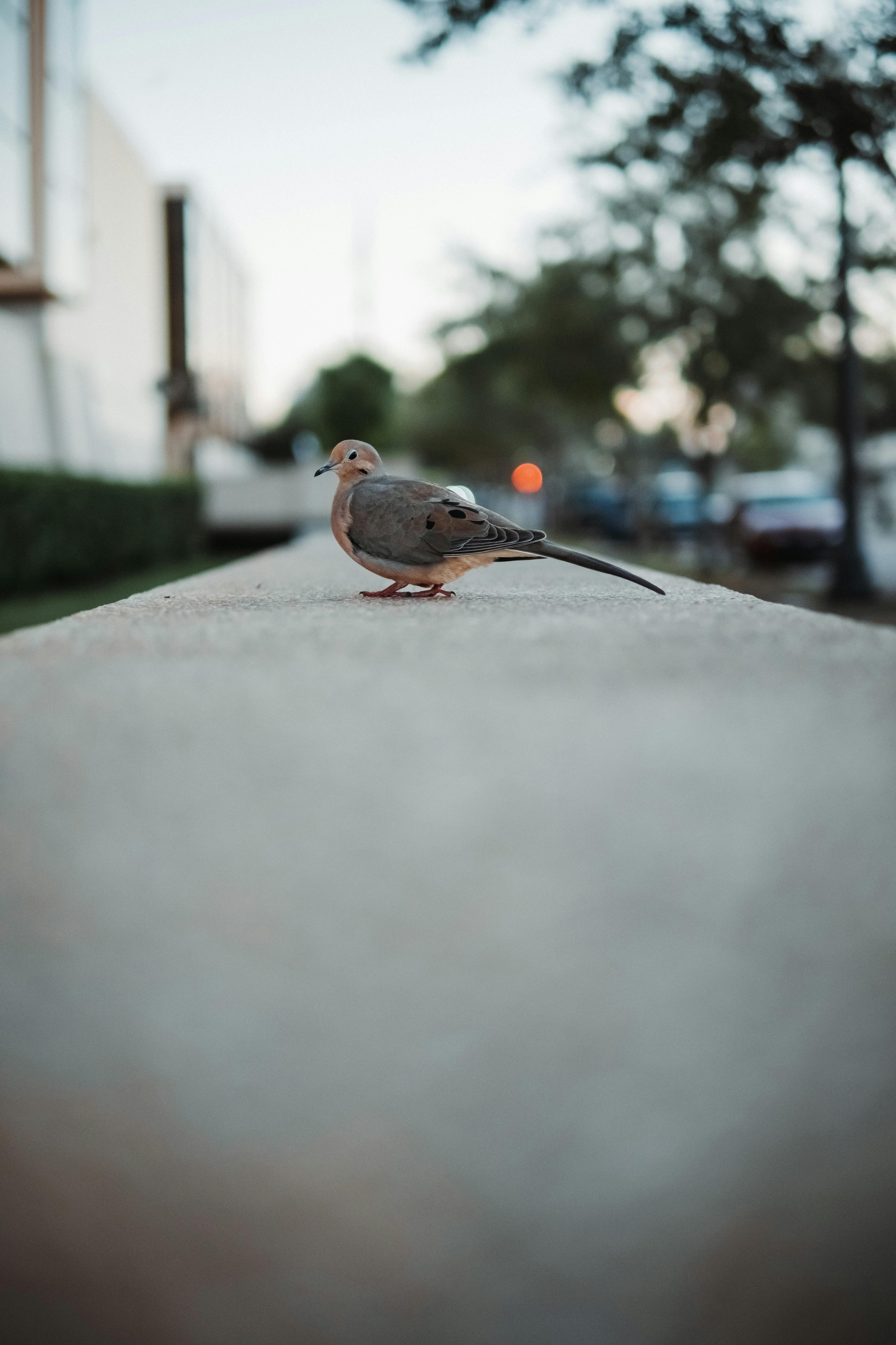 New Path Photos, Download The BEST Free New Path Stock Photos & HD Images