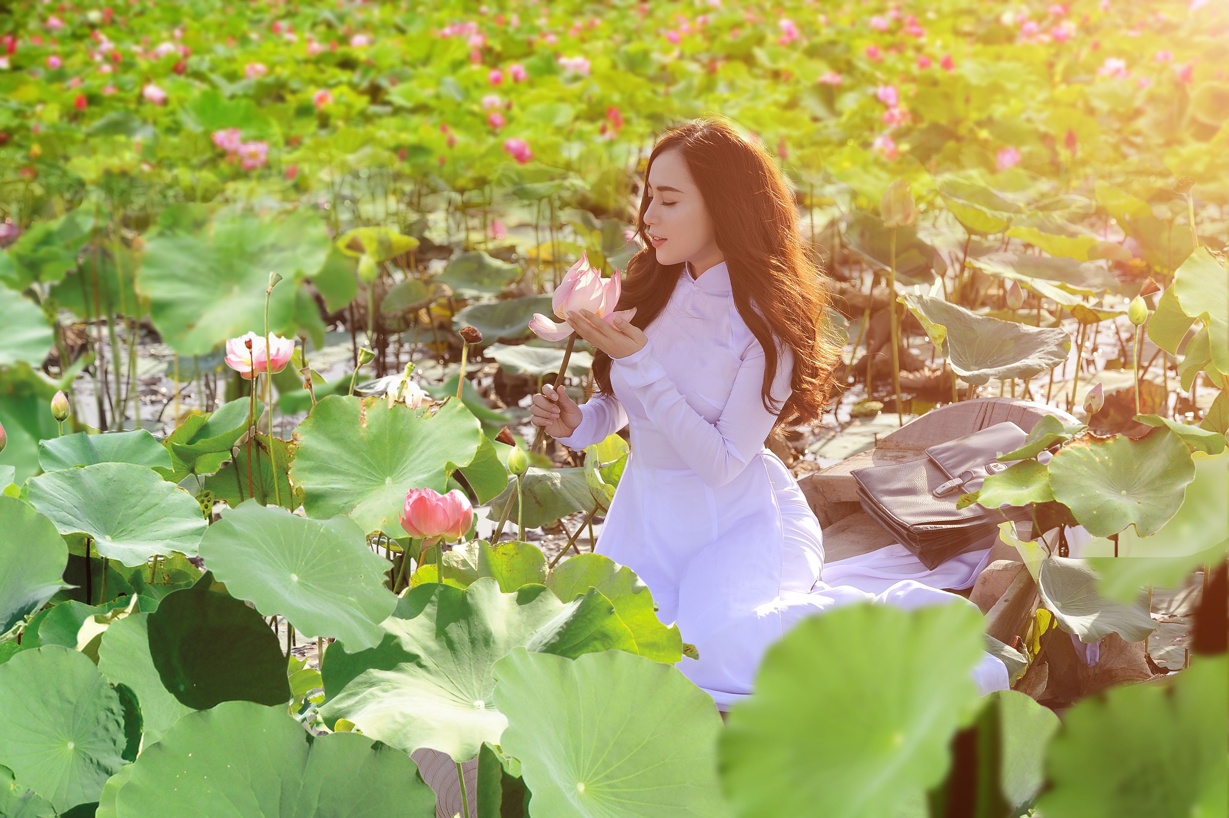 A Woman Looking a Lotus Flower · Free Stock Photo