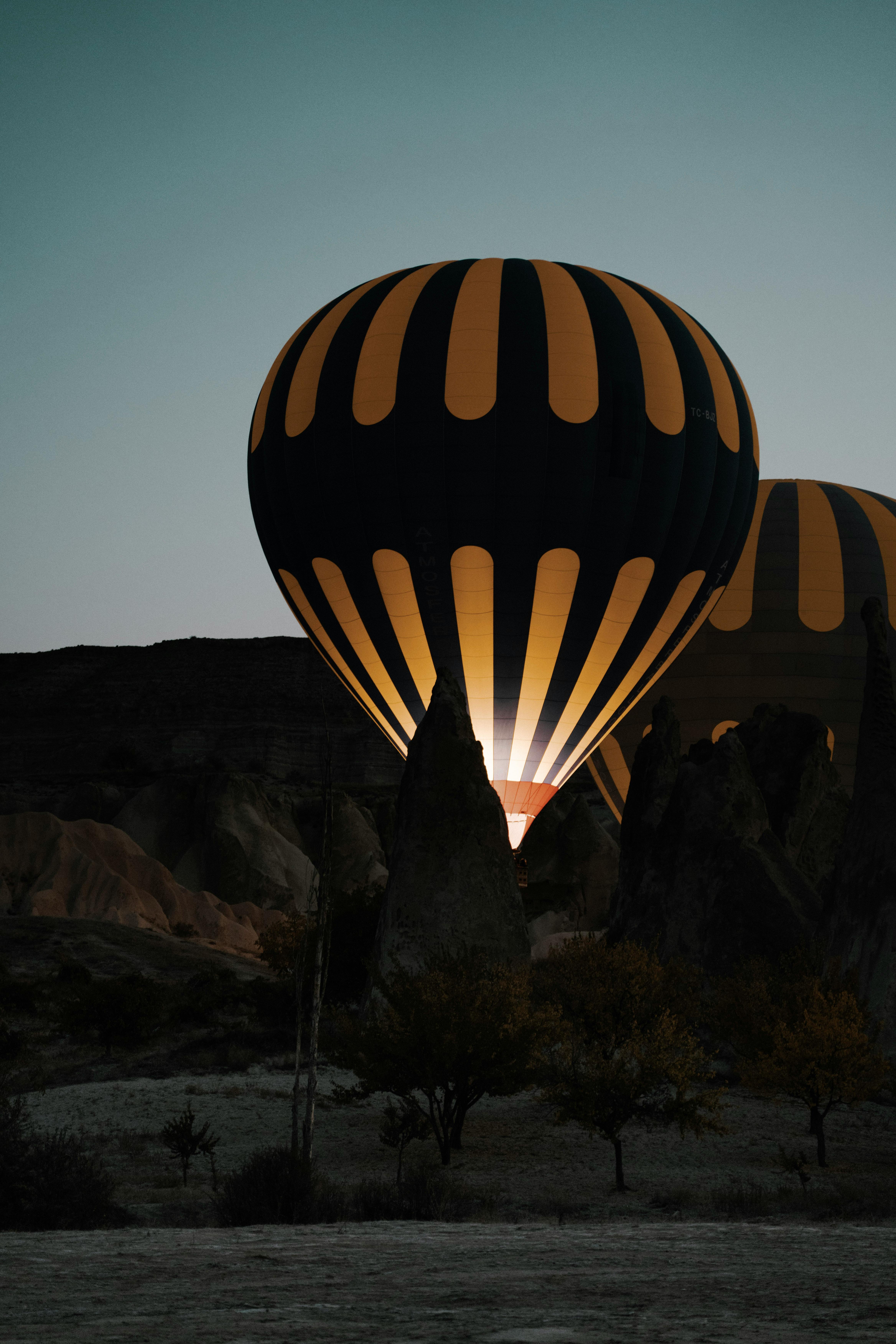 Rising Tree Photos, Download The BEST Free Rising Tree Stock Photos ...