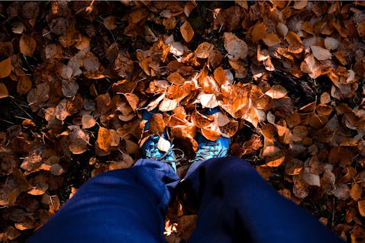 Person Standing on Fallen Leaves · Free Stock Photo