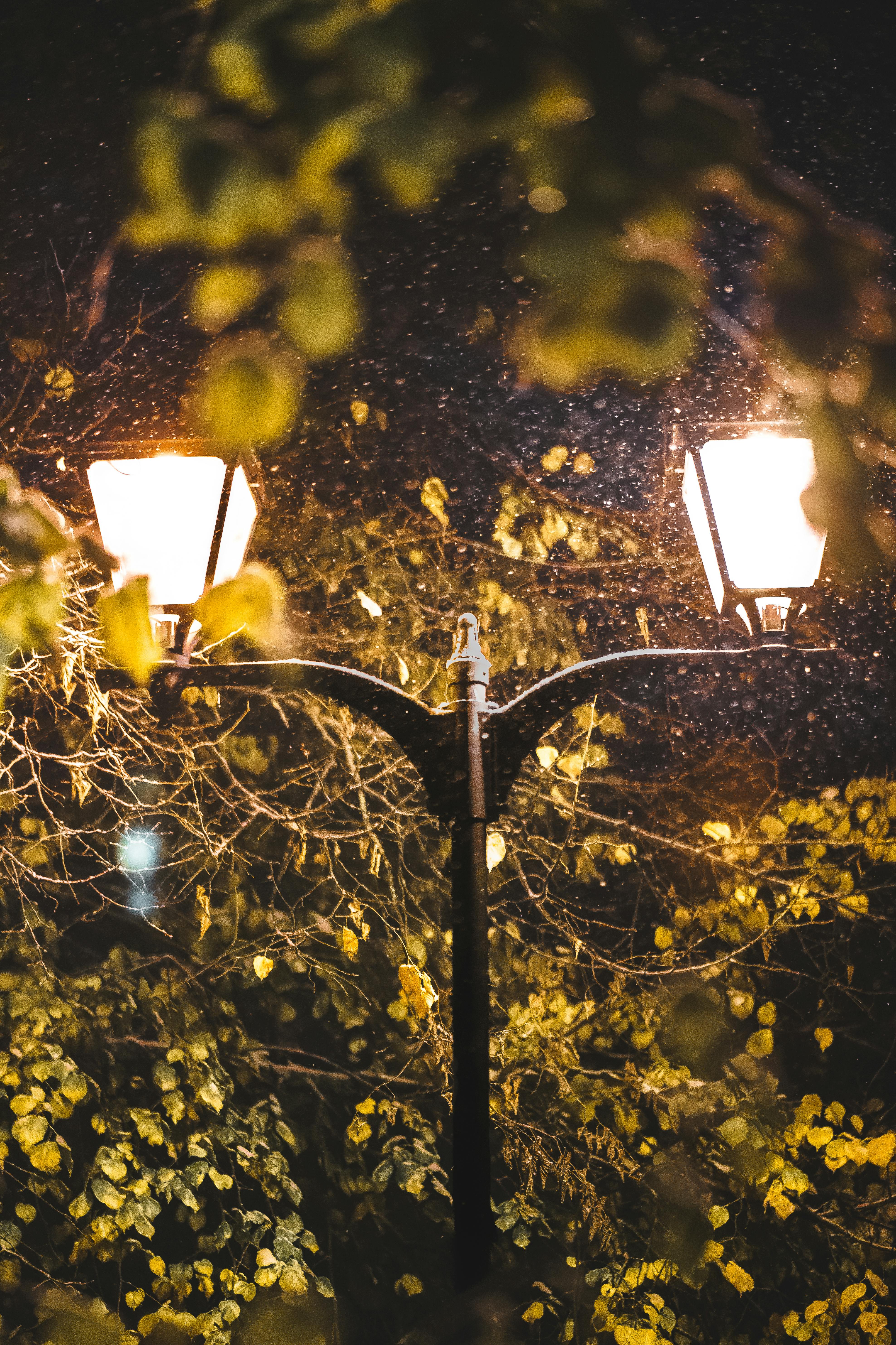 Beautiful Girl Posing at Night Street · Free Stock Photo