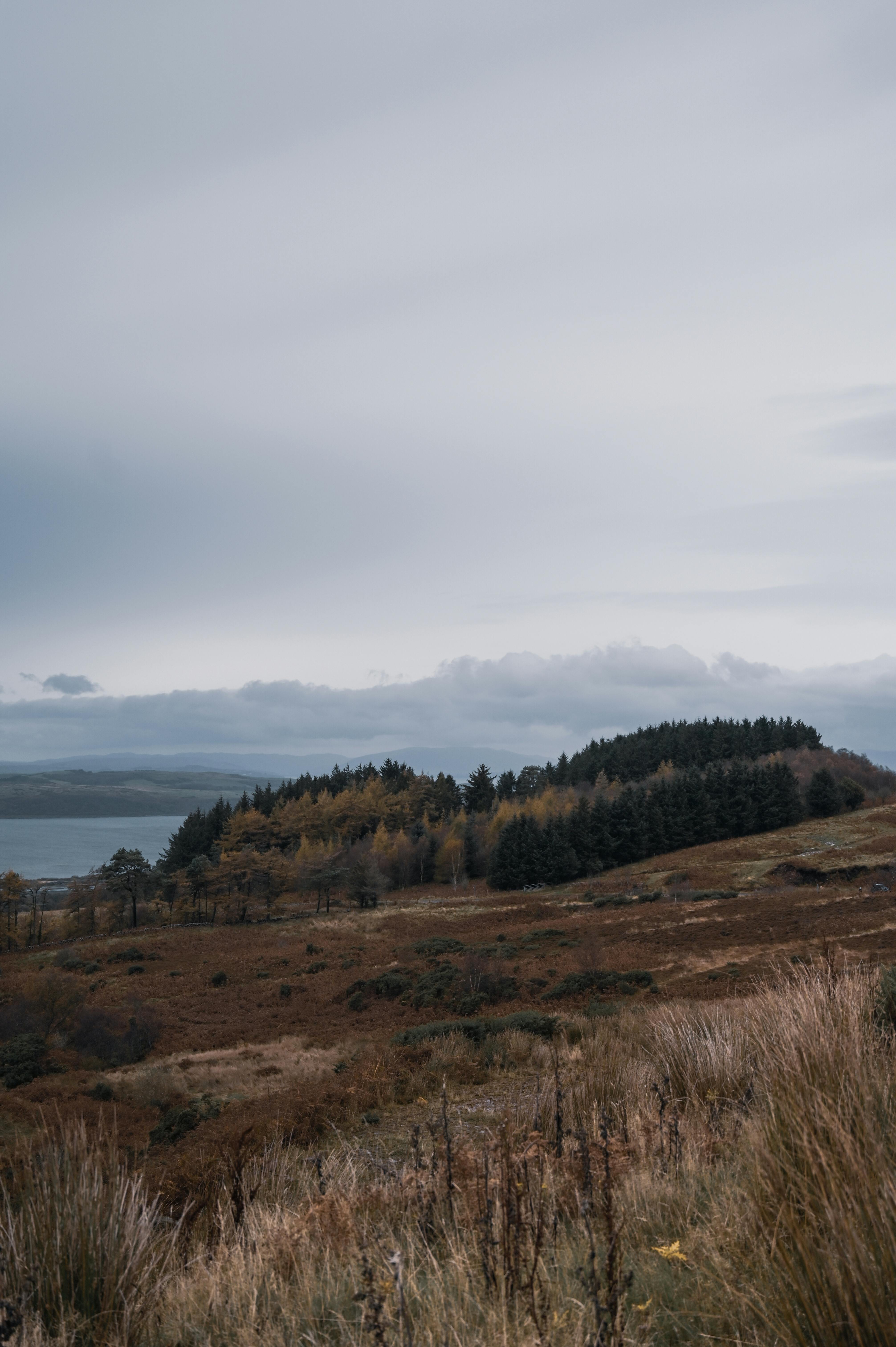 Scenic View Of Sky With Rainbow · Free Stock Photo