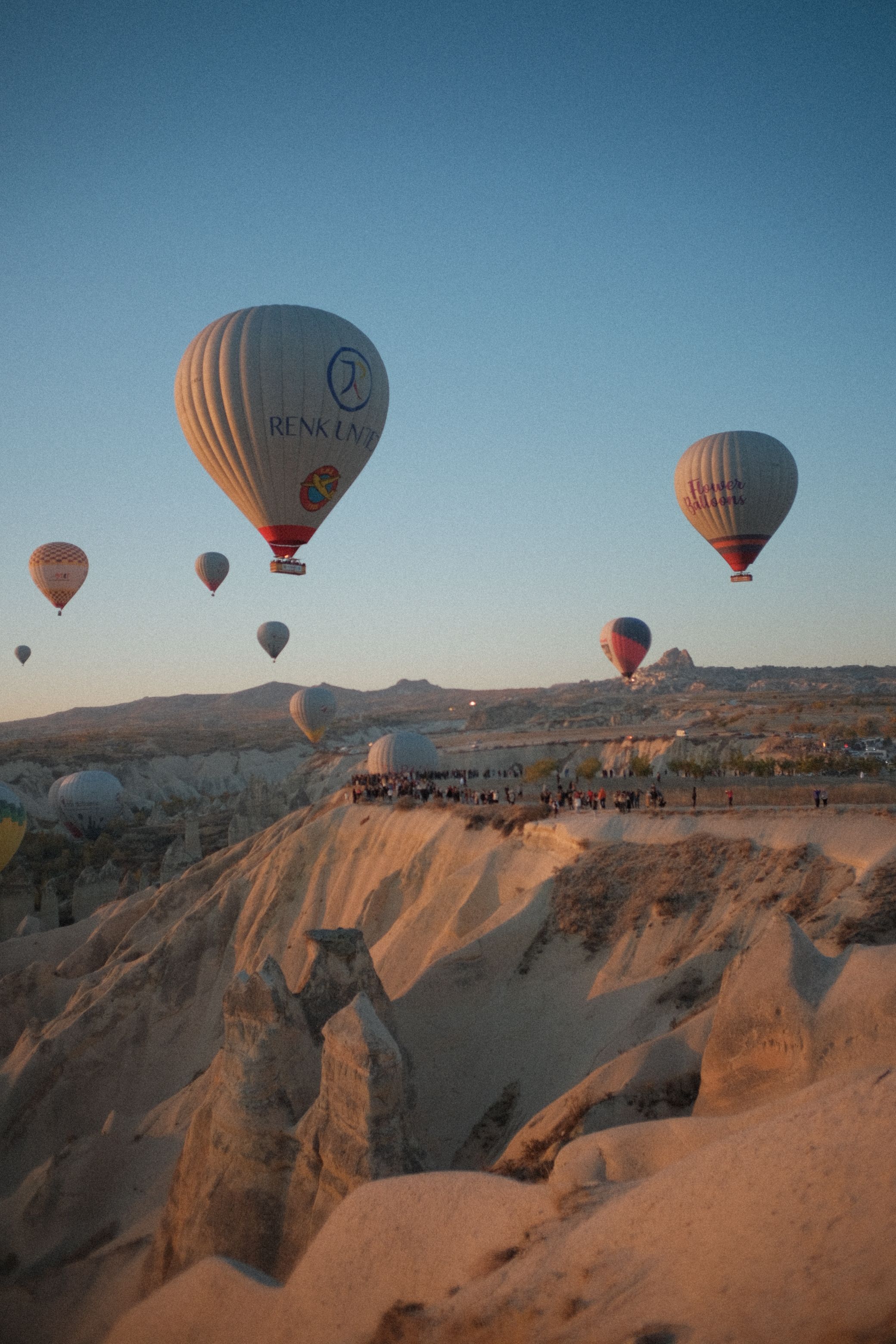 Hot Air Balloons Flying · Free Stock Photo