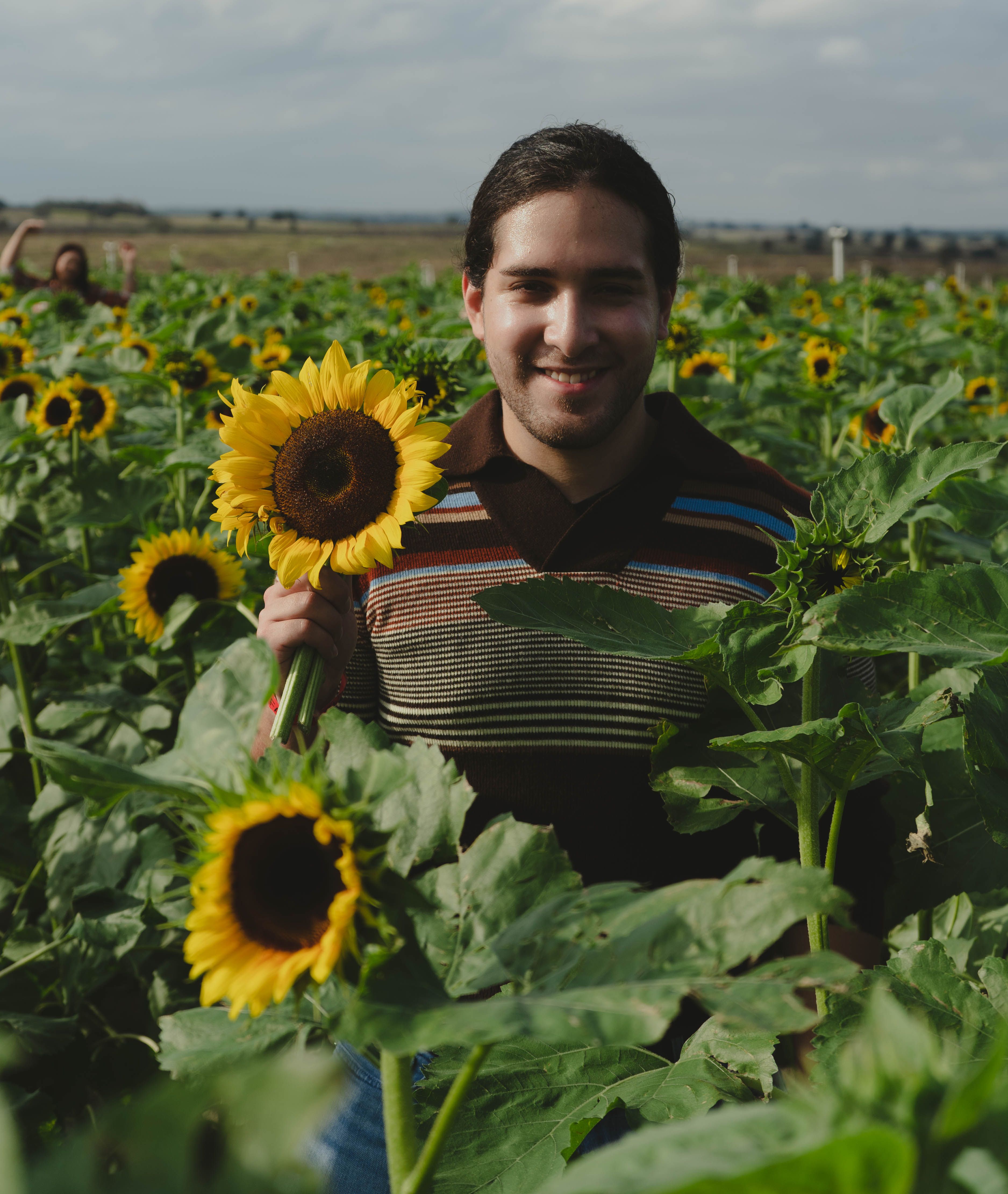 A Man in a Sunflower Field · Free Stock Photo