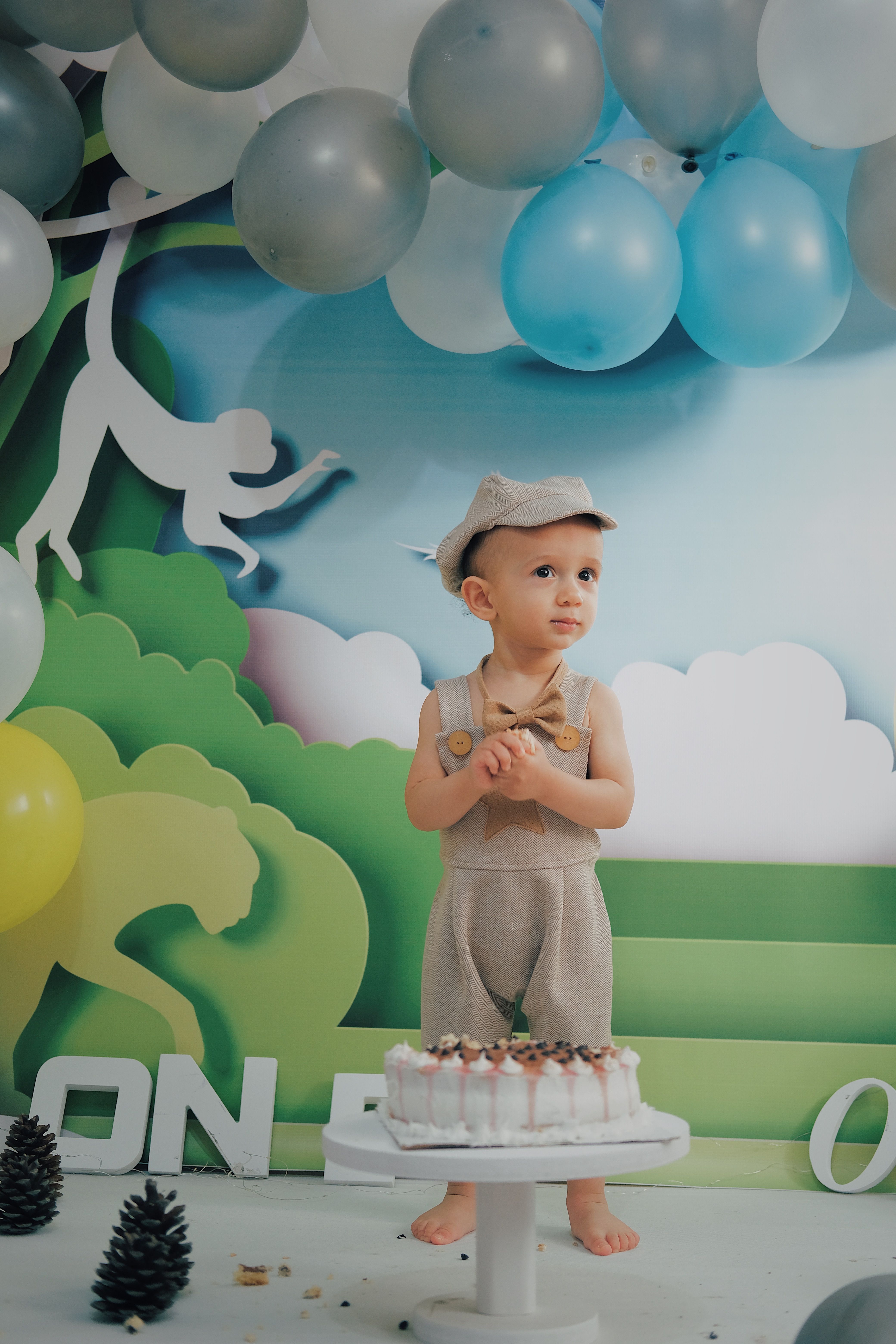Boy Standing Behind a Cake · Free Stock Photo