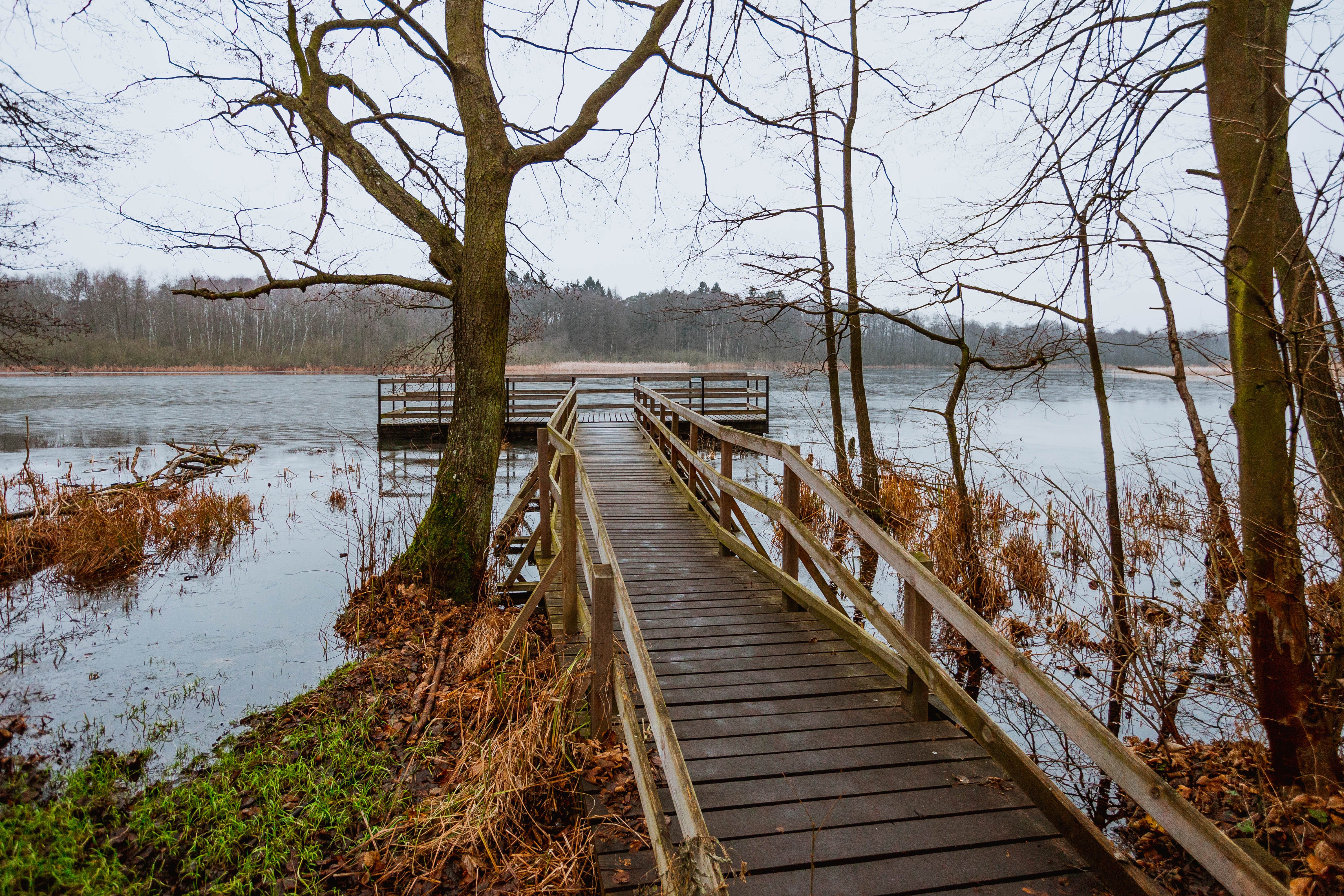 View of a Pier on a Body of Water in Autumn · Free Stock Photo