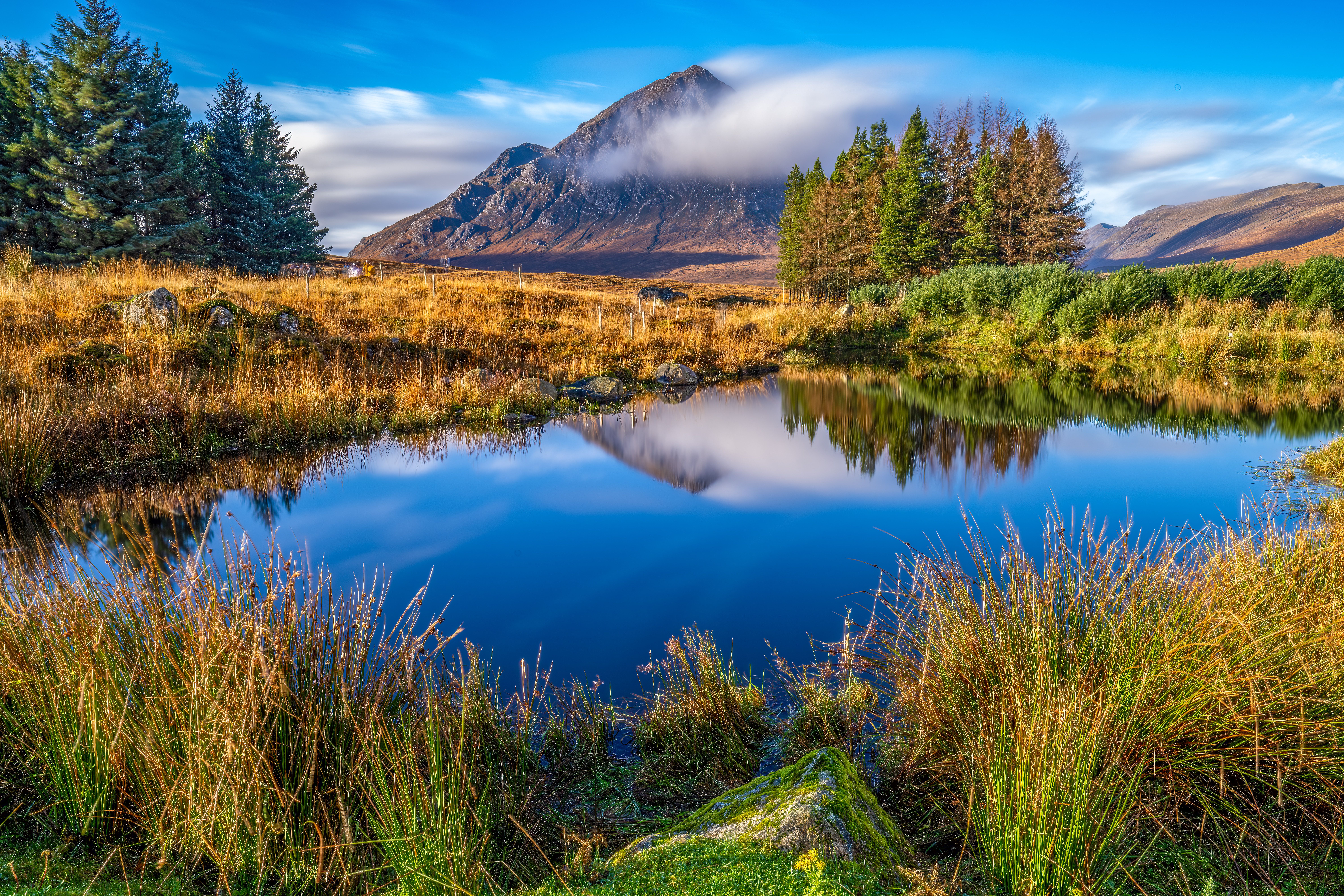 Lake in the Middle of Grass Field · Free Stock Photo