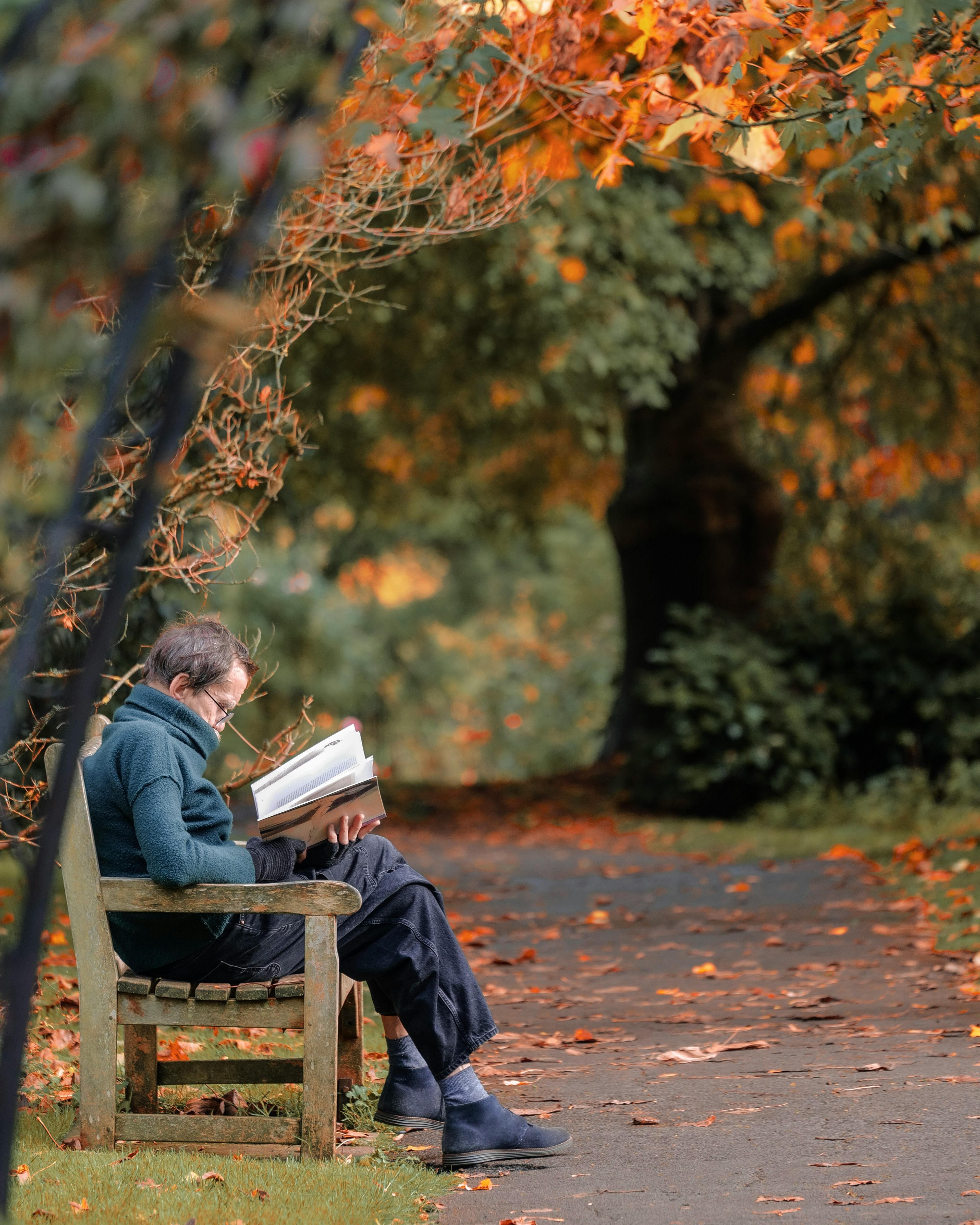 Person Sitting on Bench Reading Book in Park · Free Stock Photo