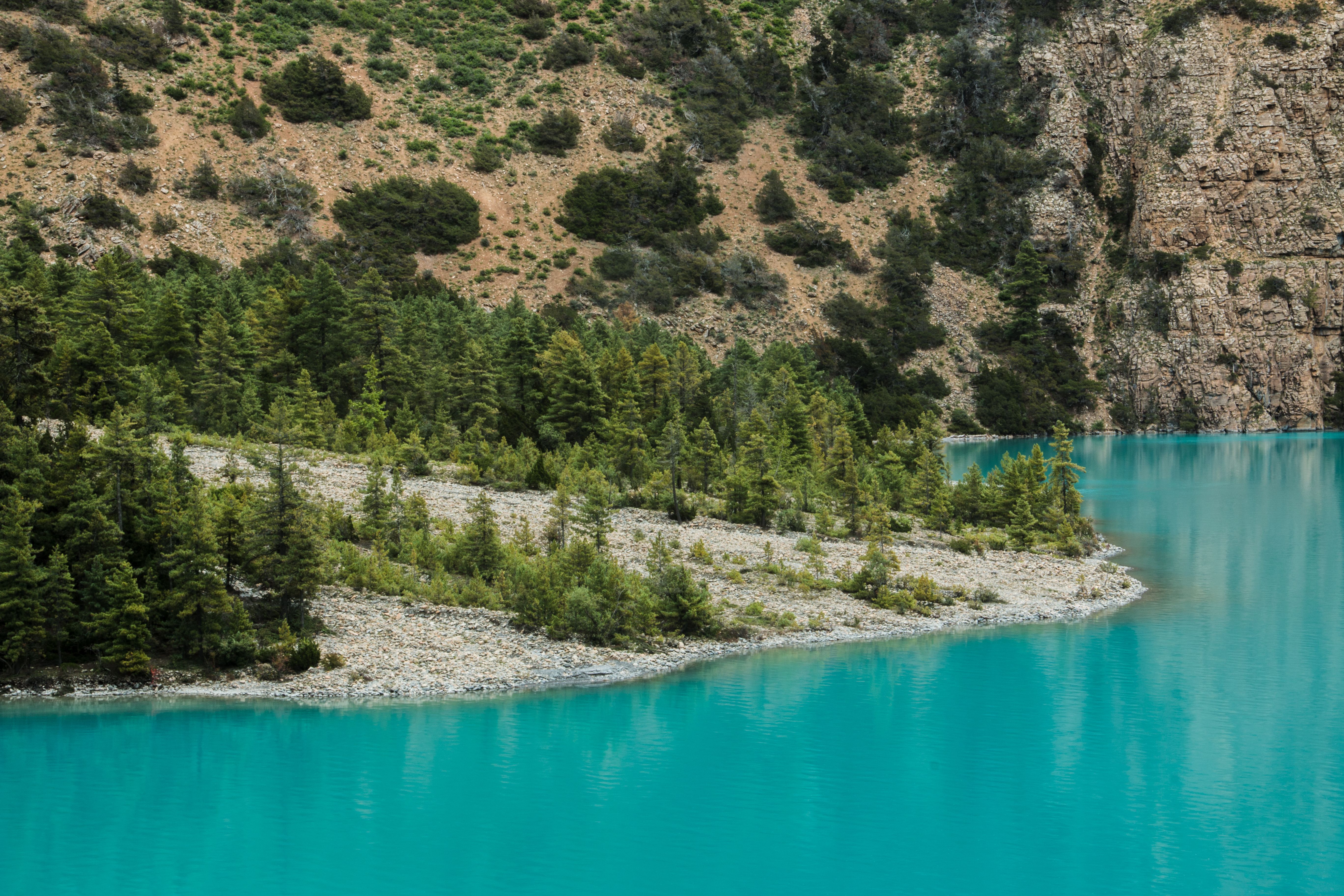 Landscape Photography of Lake and Trees · Free Stock Photo