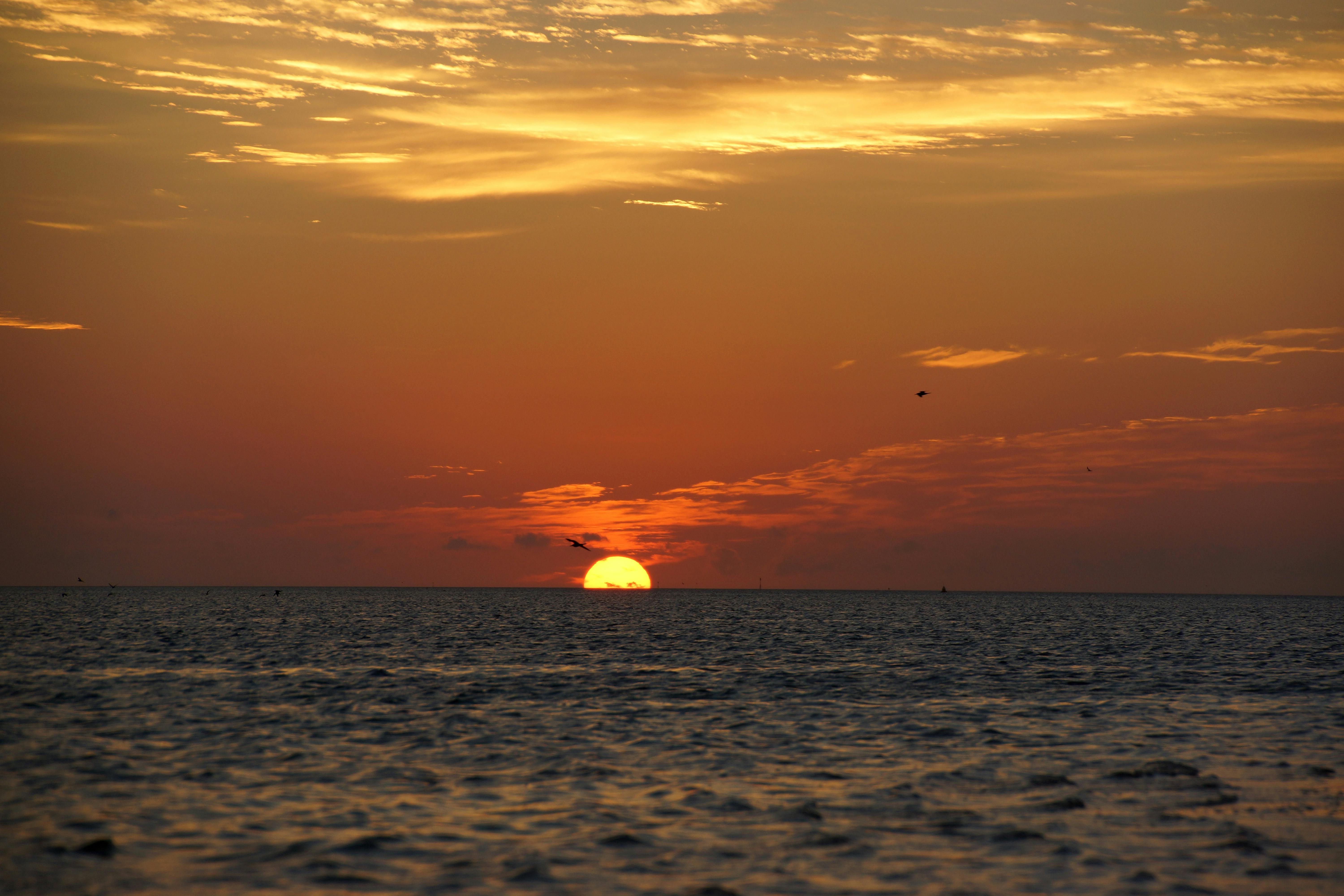 Body of Water during Sunset · Free Stock Photo