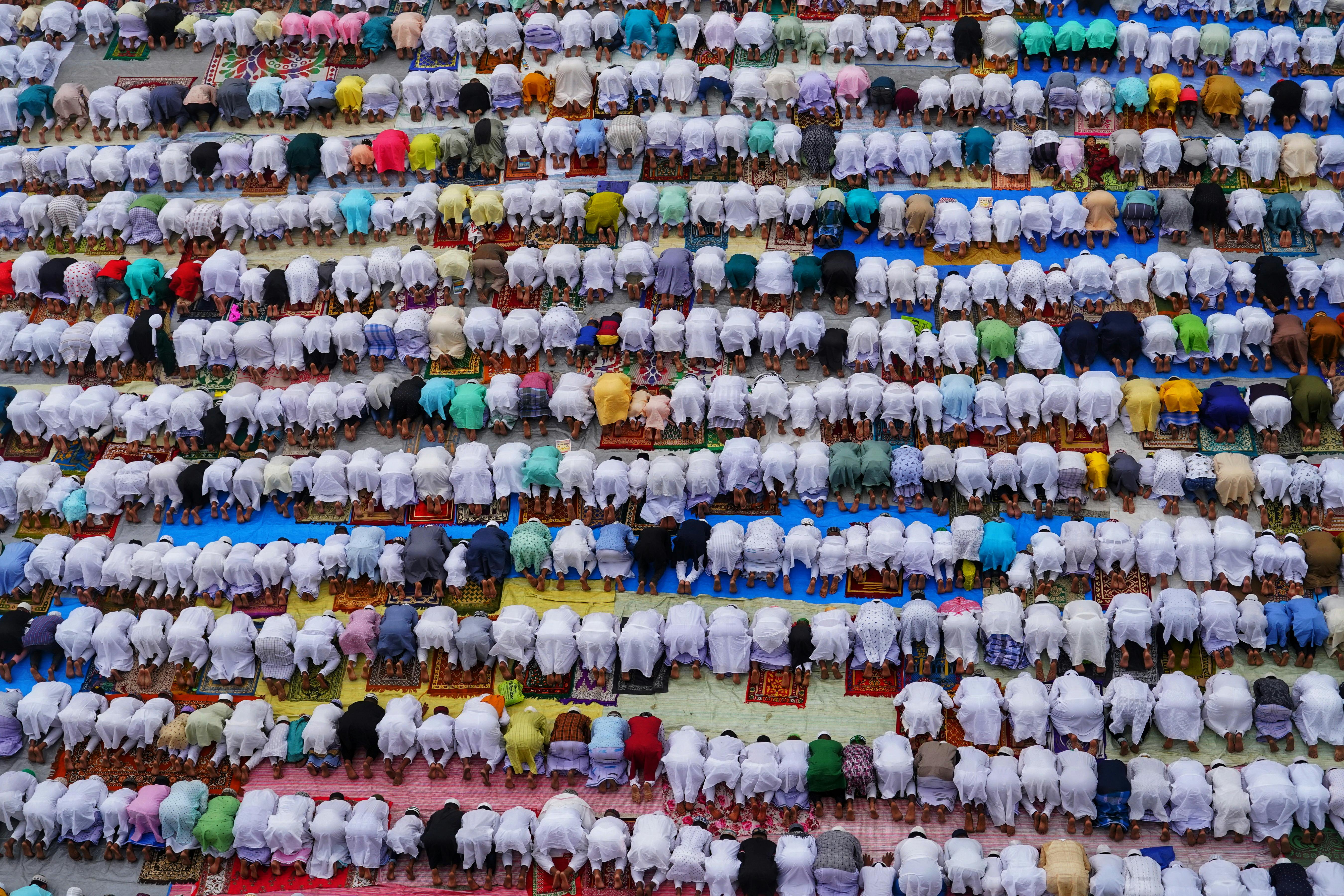 Muslim People Praying Together · Free Stock Photo