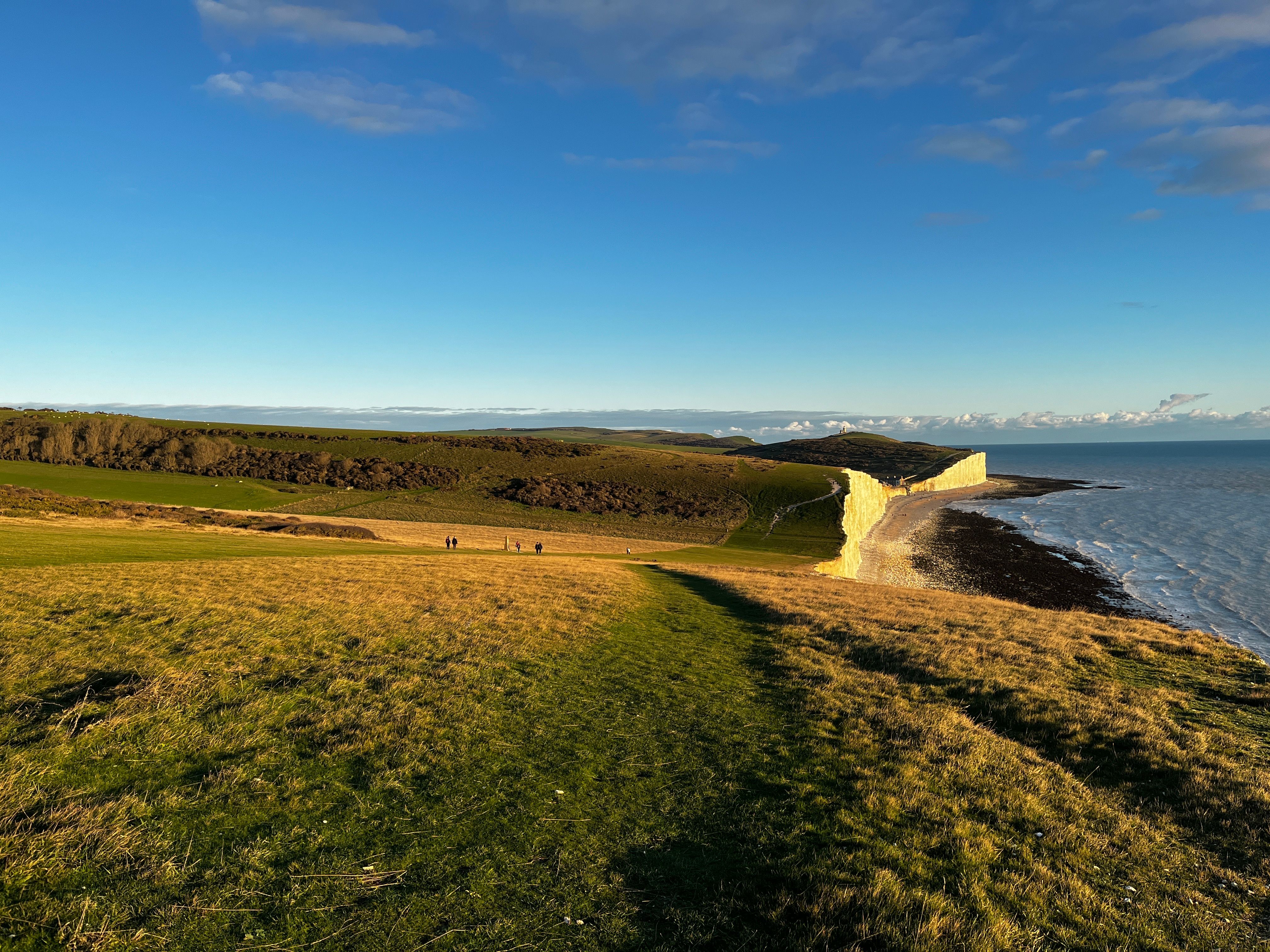 A Green Grass Field Near the Ocean Under the Blue Sky · Free Stock Photo