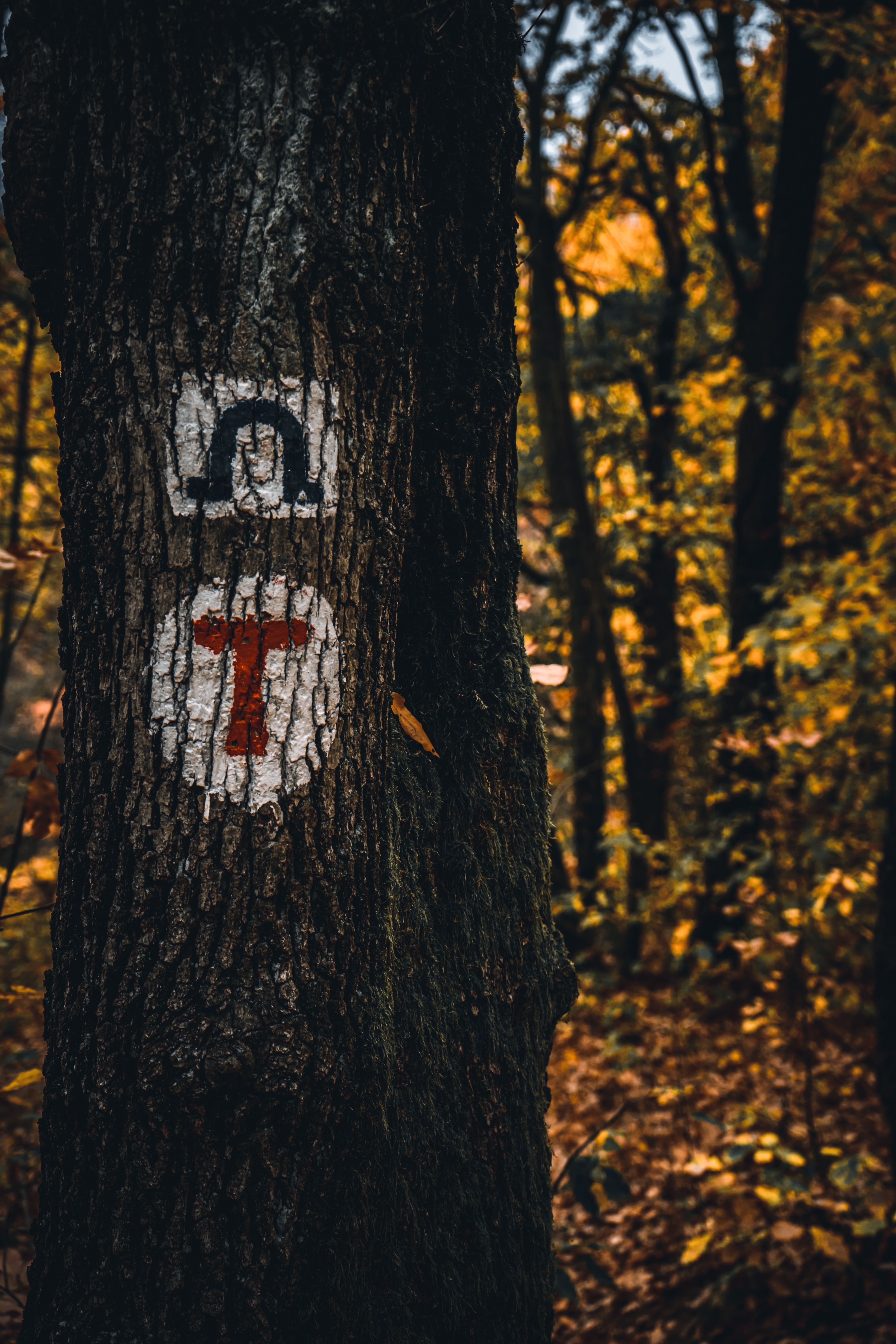 Geocaching Photos, Download The BEST Free Geocaching Stock Photos & HD ...