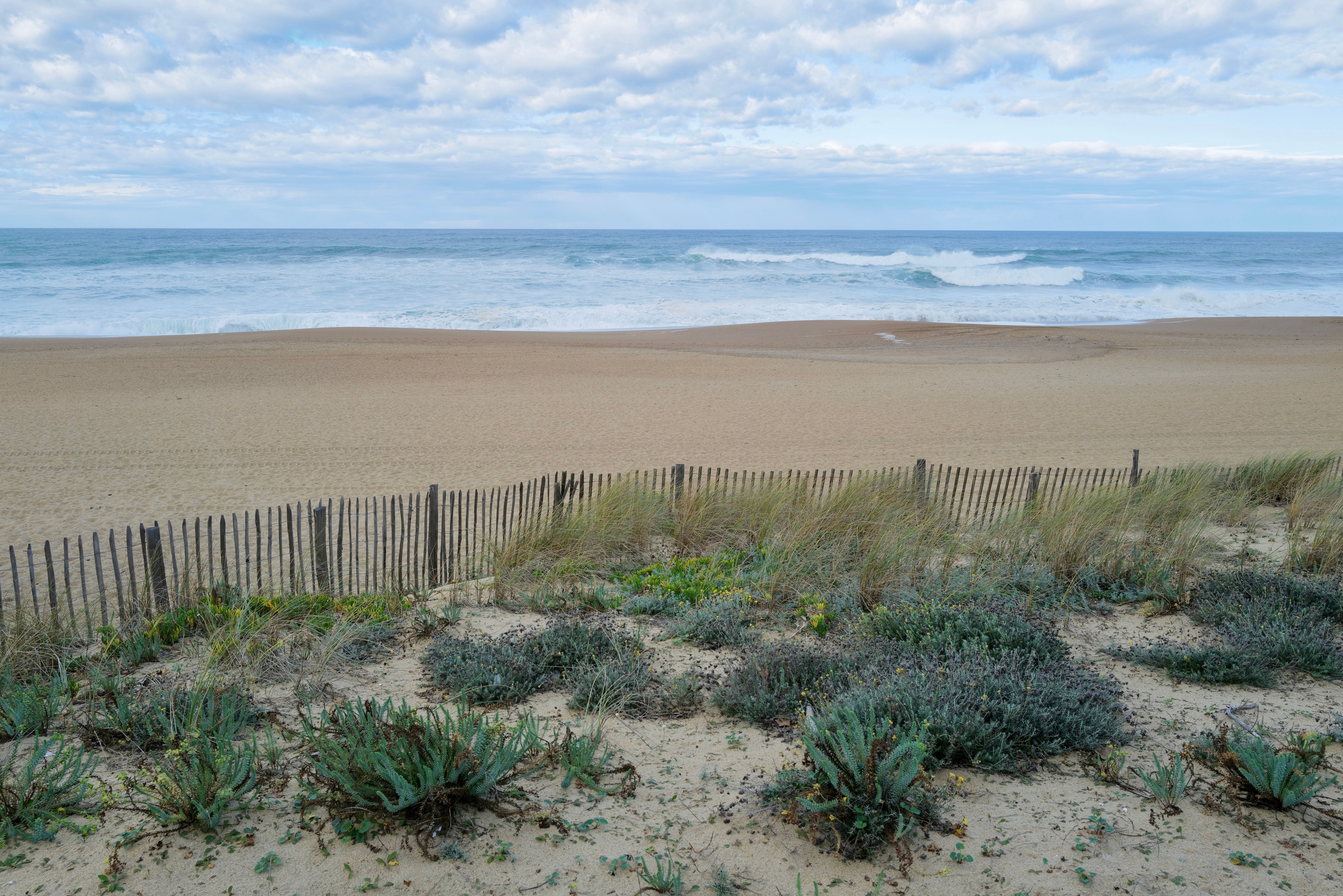 View of a Beach with Fence · Free Stock Photo