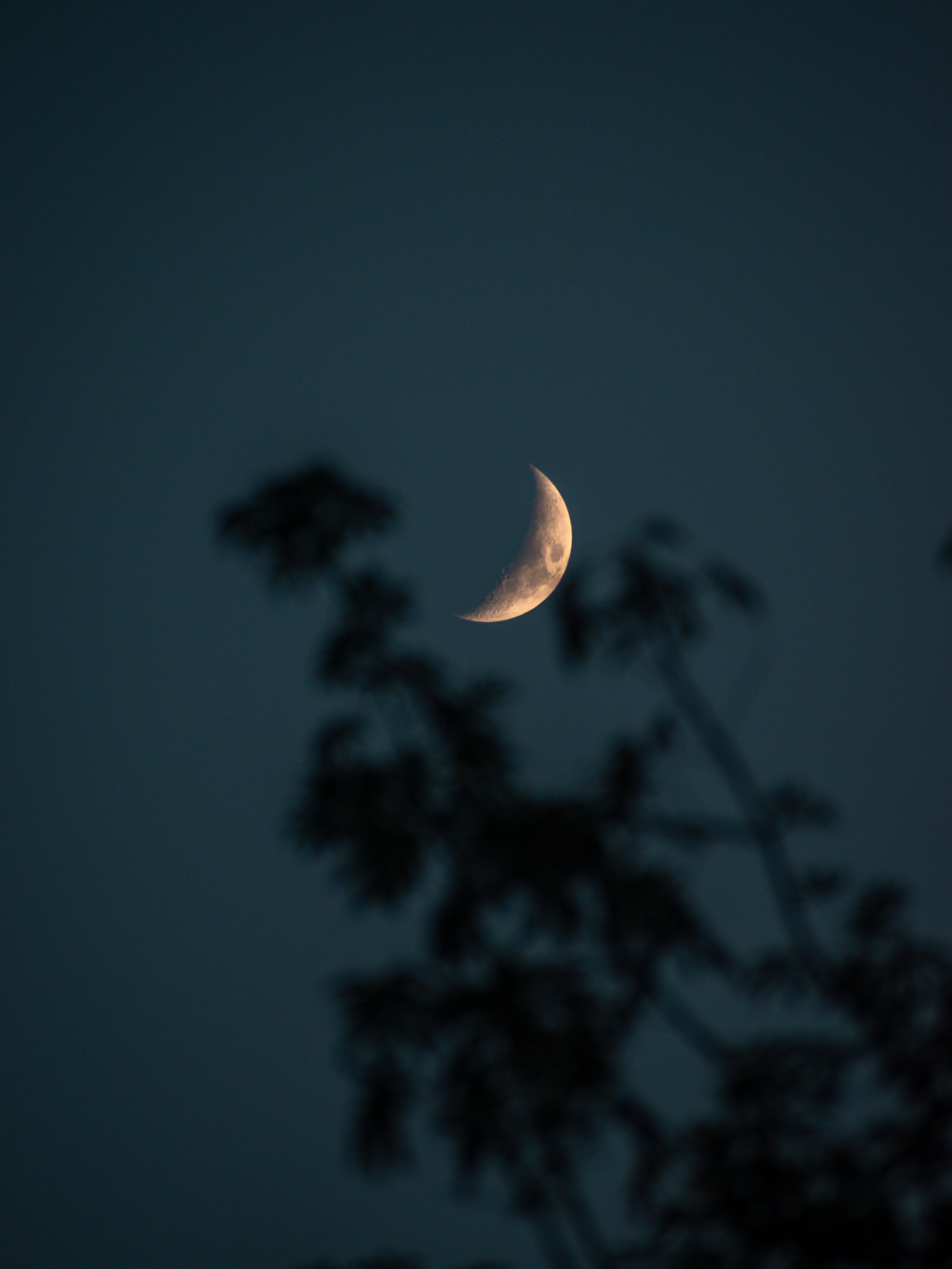 A Crescent Moon on Night Sky · Free Stock Photo