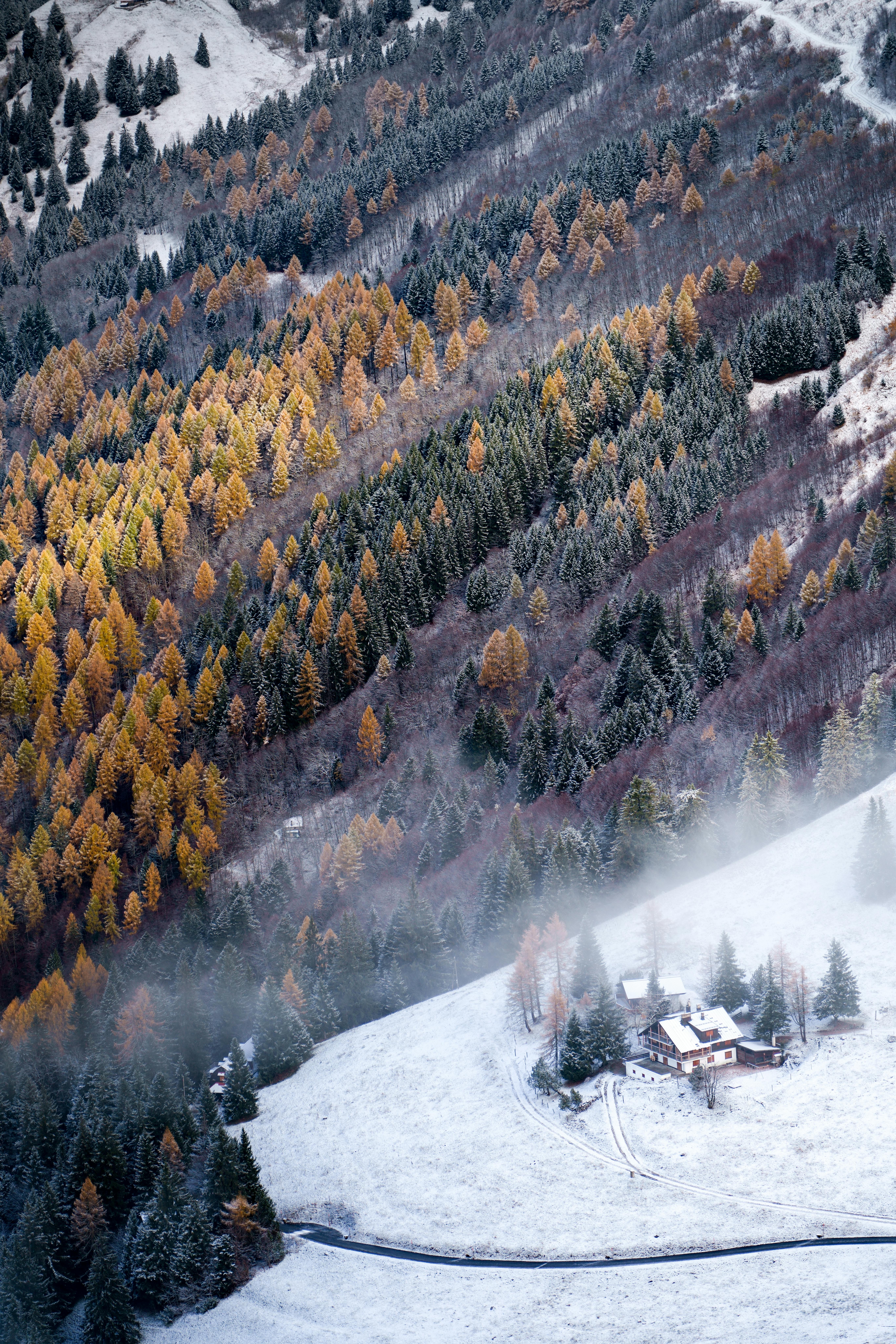 aerial View of Trees on Mountain · Free Stock Photo