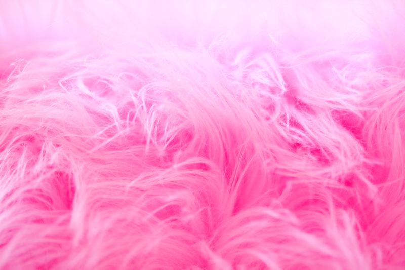 Pink Photos, Download The BEST Free Pink Stock Photos & HD Images