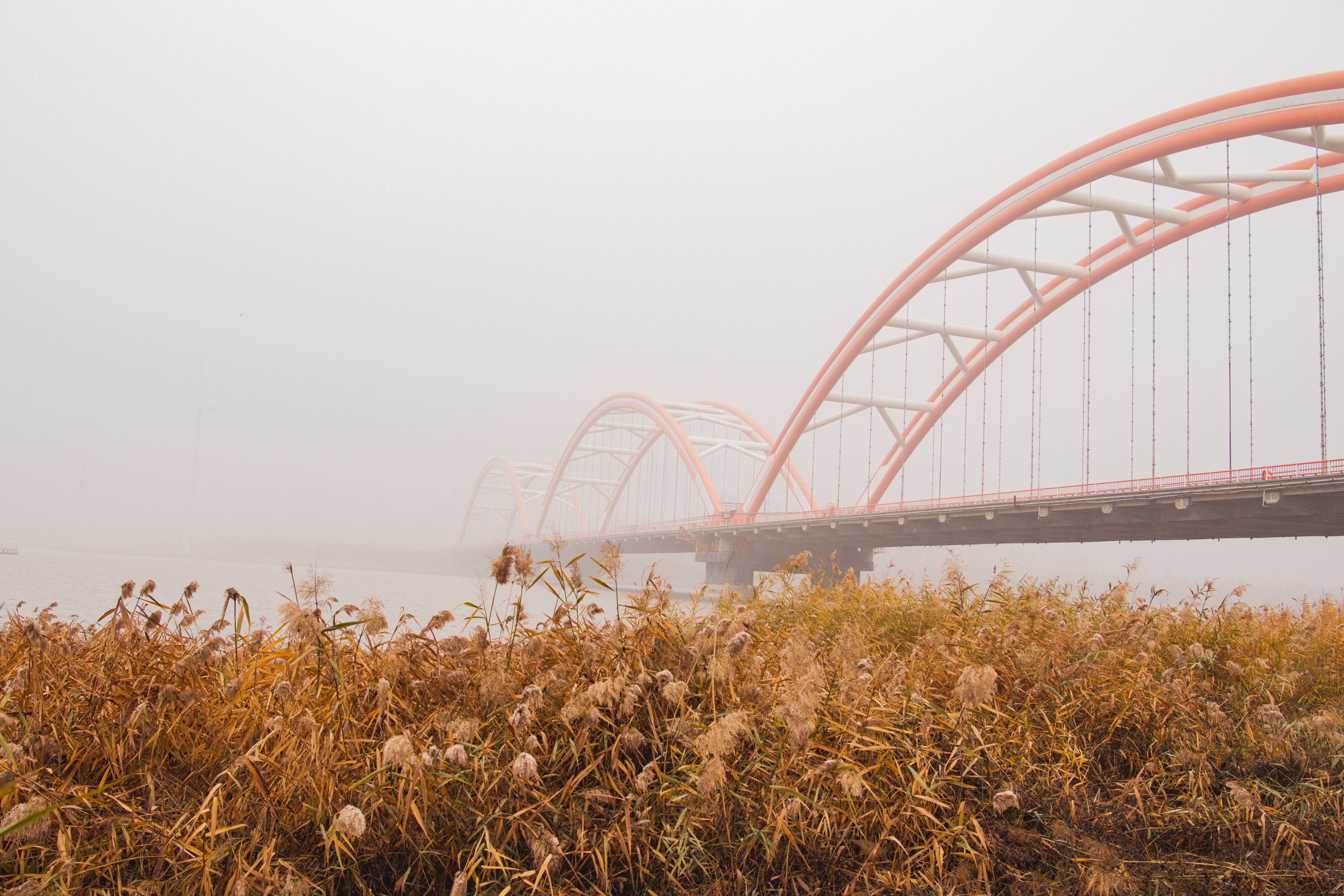Foggy Arch Metal Bridge · Free Stock Photo