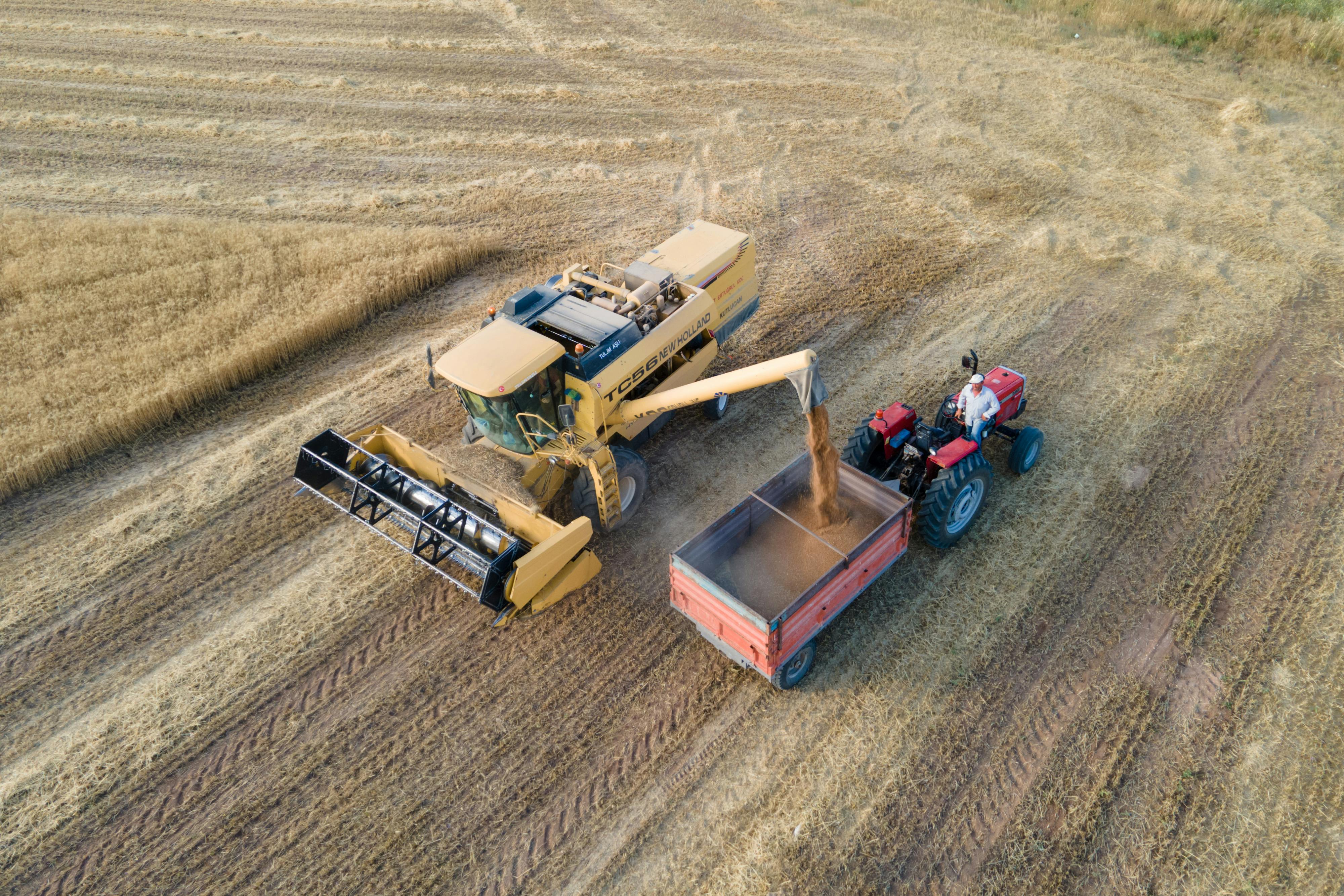 Man Plowing Field Using Traditional Methods · Free Stock Photo