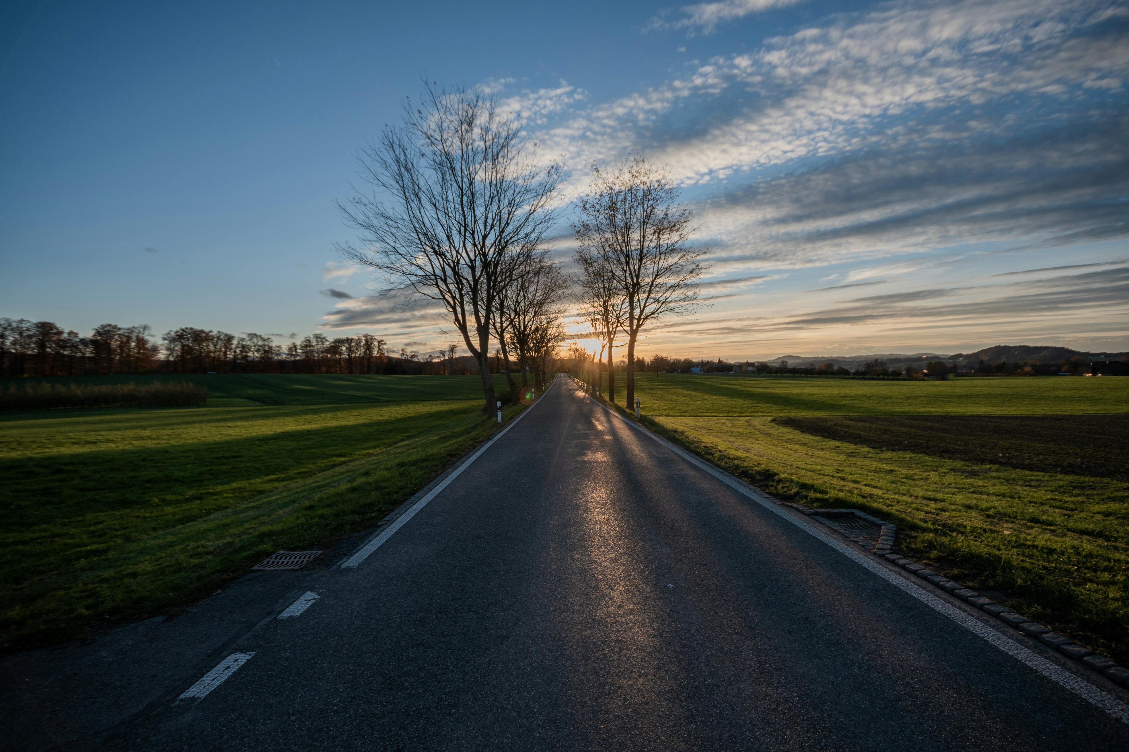 Swiss Scene Photos, Download The BEST Free Swiss Scene Stock Photos ...