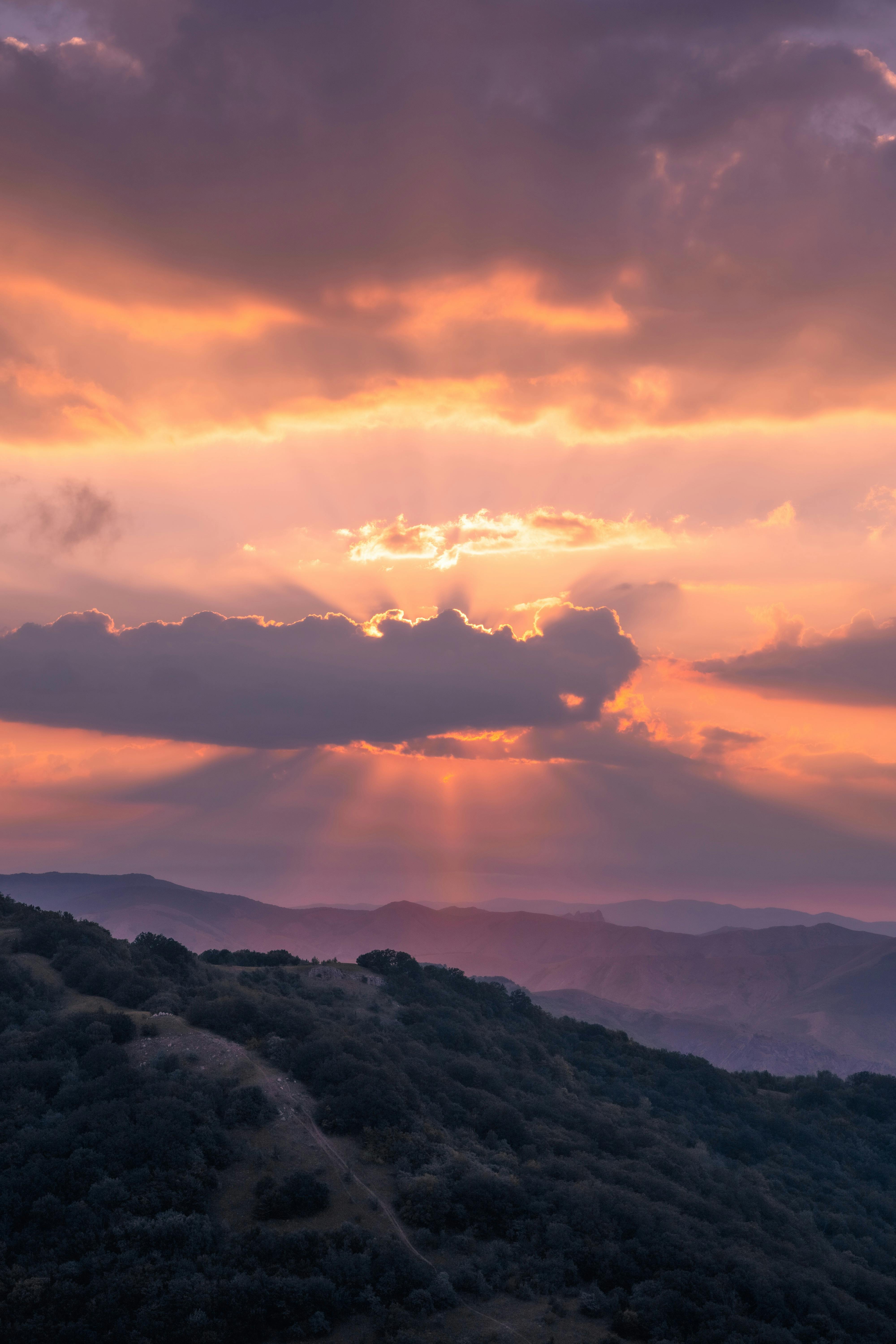 Sunset over Trees · Free Stock Photo
