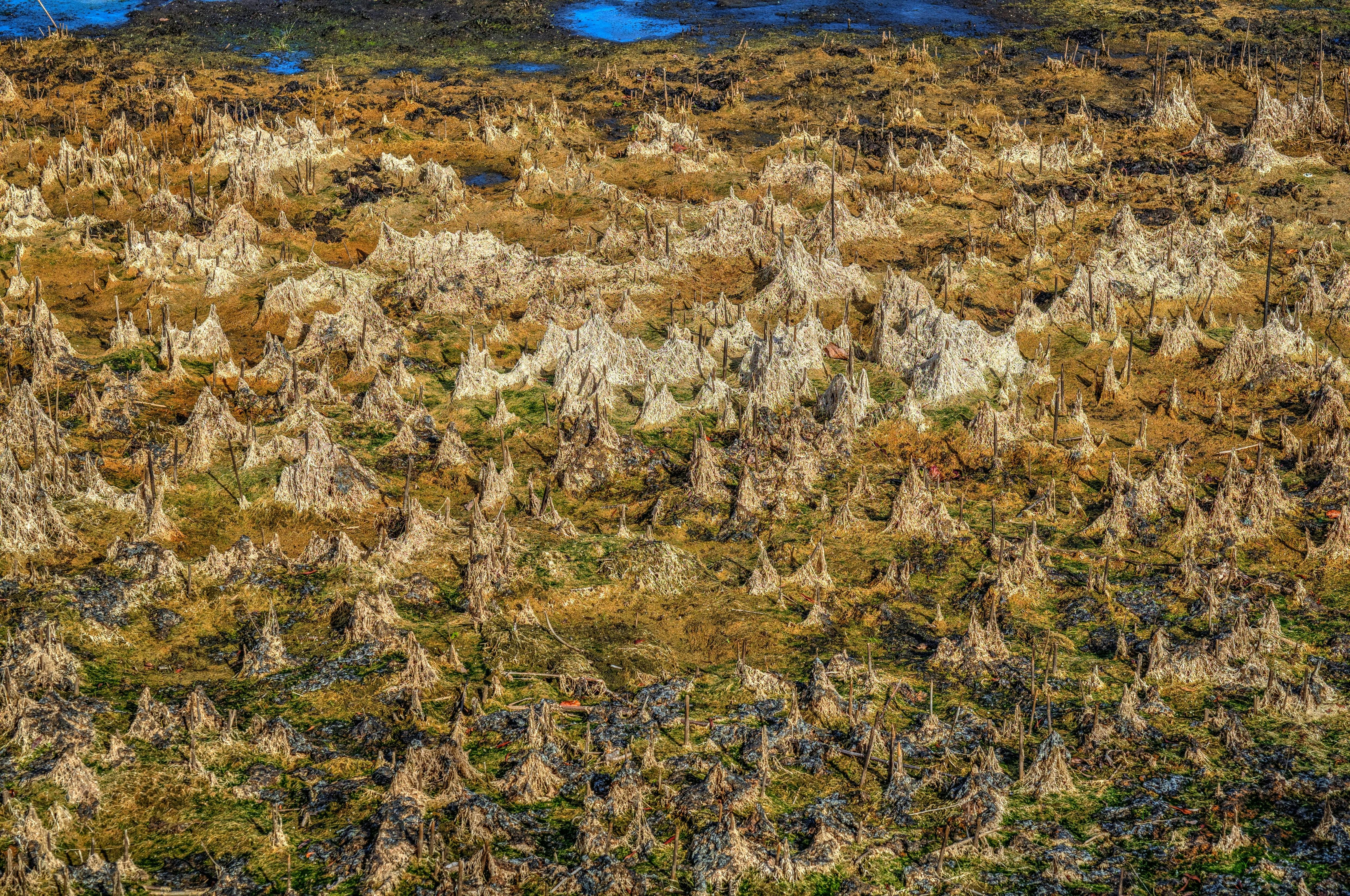Aerial Photography of Rock Formations · Free Stock Photo