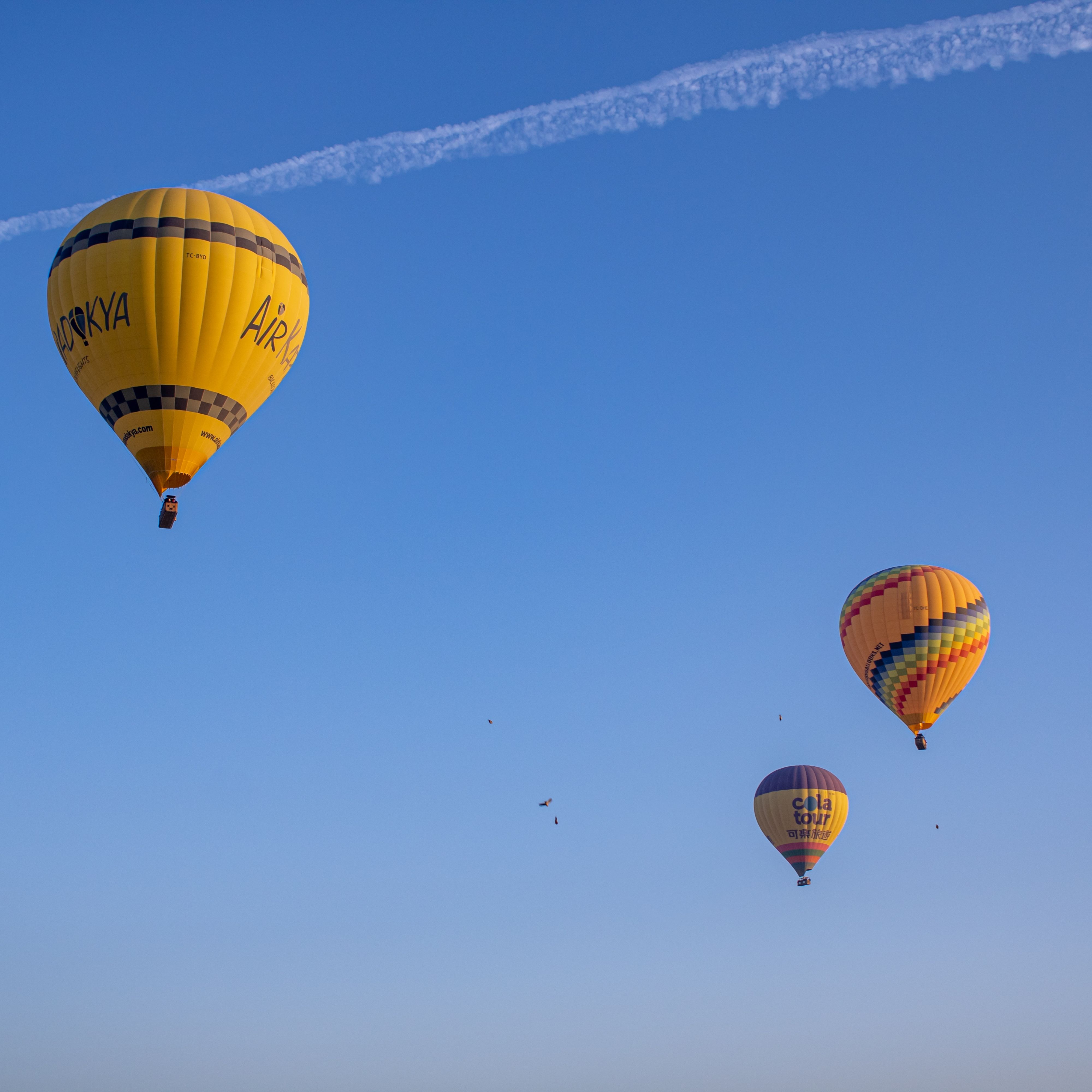 Photo of a Flying Hot Air Balloons · Free Stock Photo