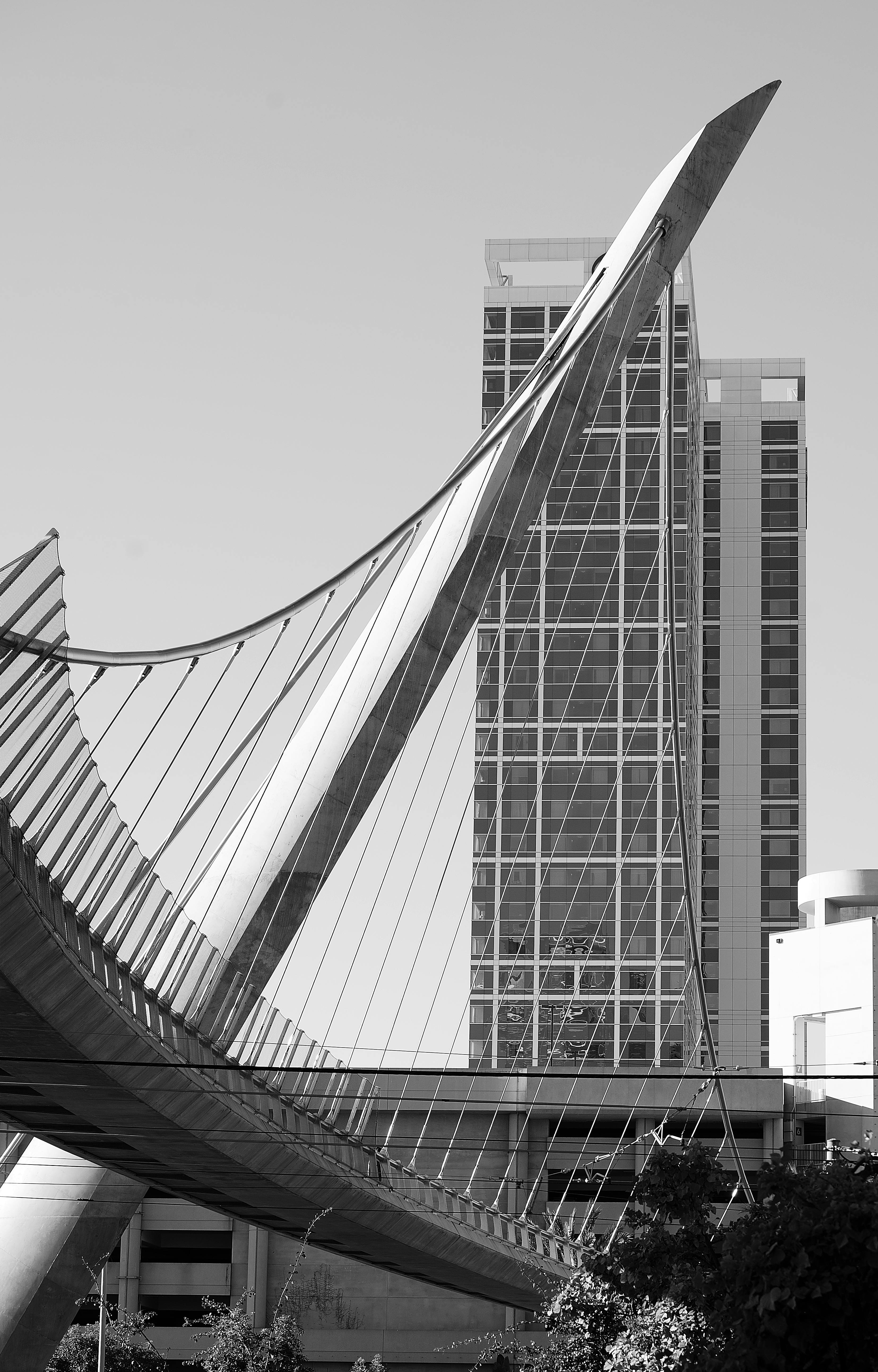 Monochrome Photo of Harbor Drive Pedestrian Bridge · Free Stock Photo