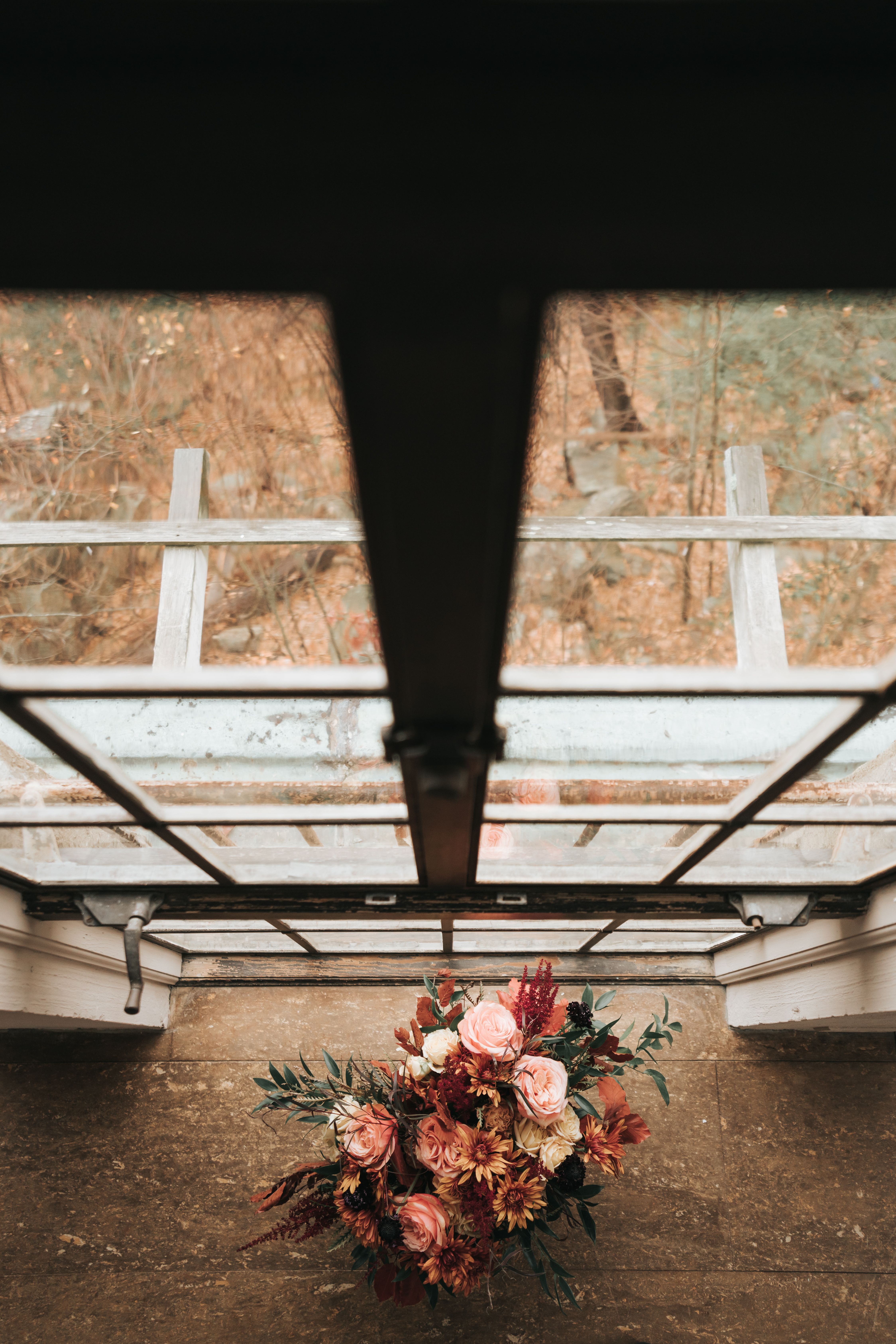 Flowers by the Window · Free Stock Photo