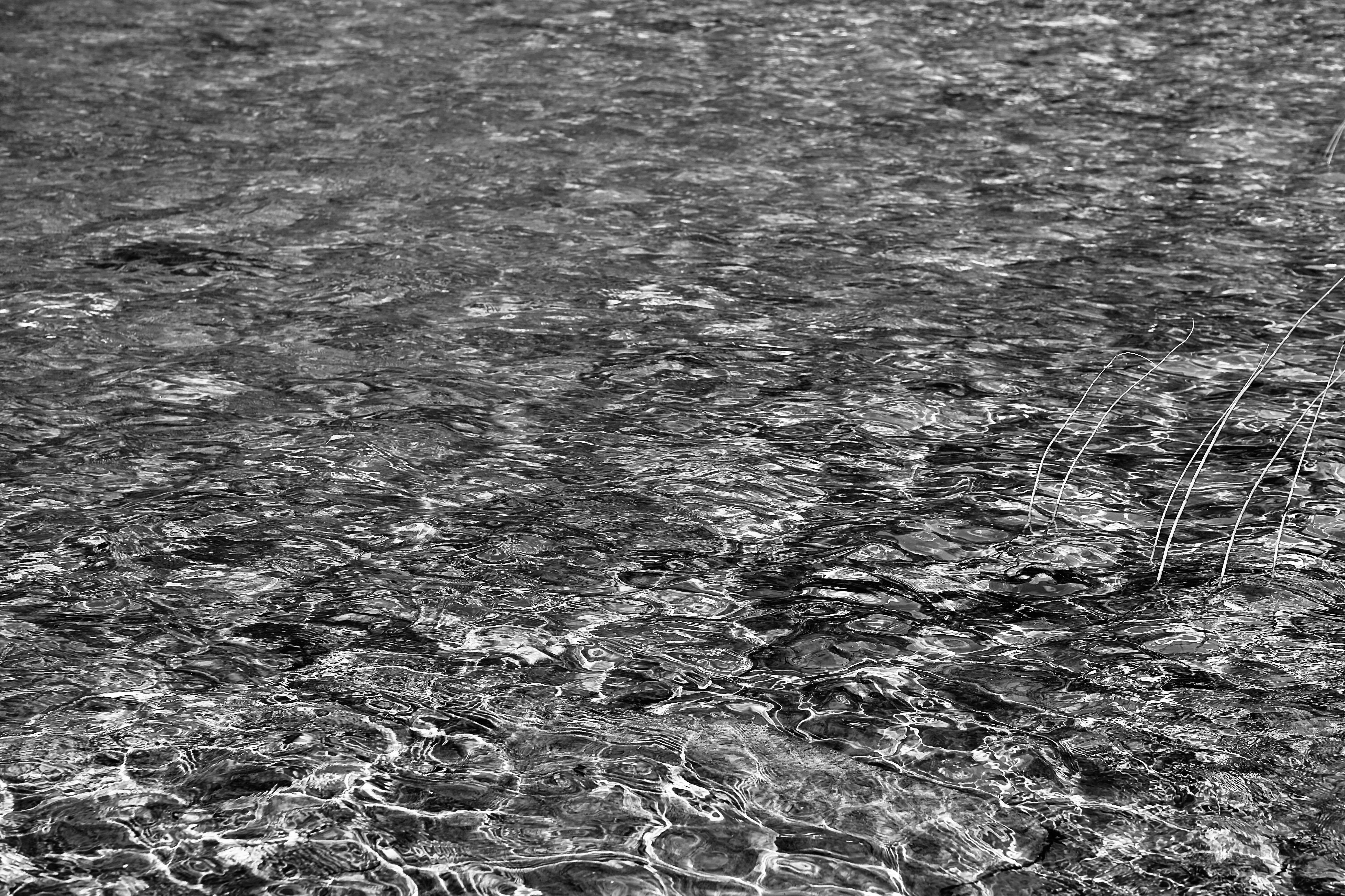 Grayscale Photo of Water Surface · Free Stock Photo