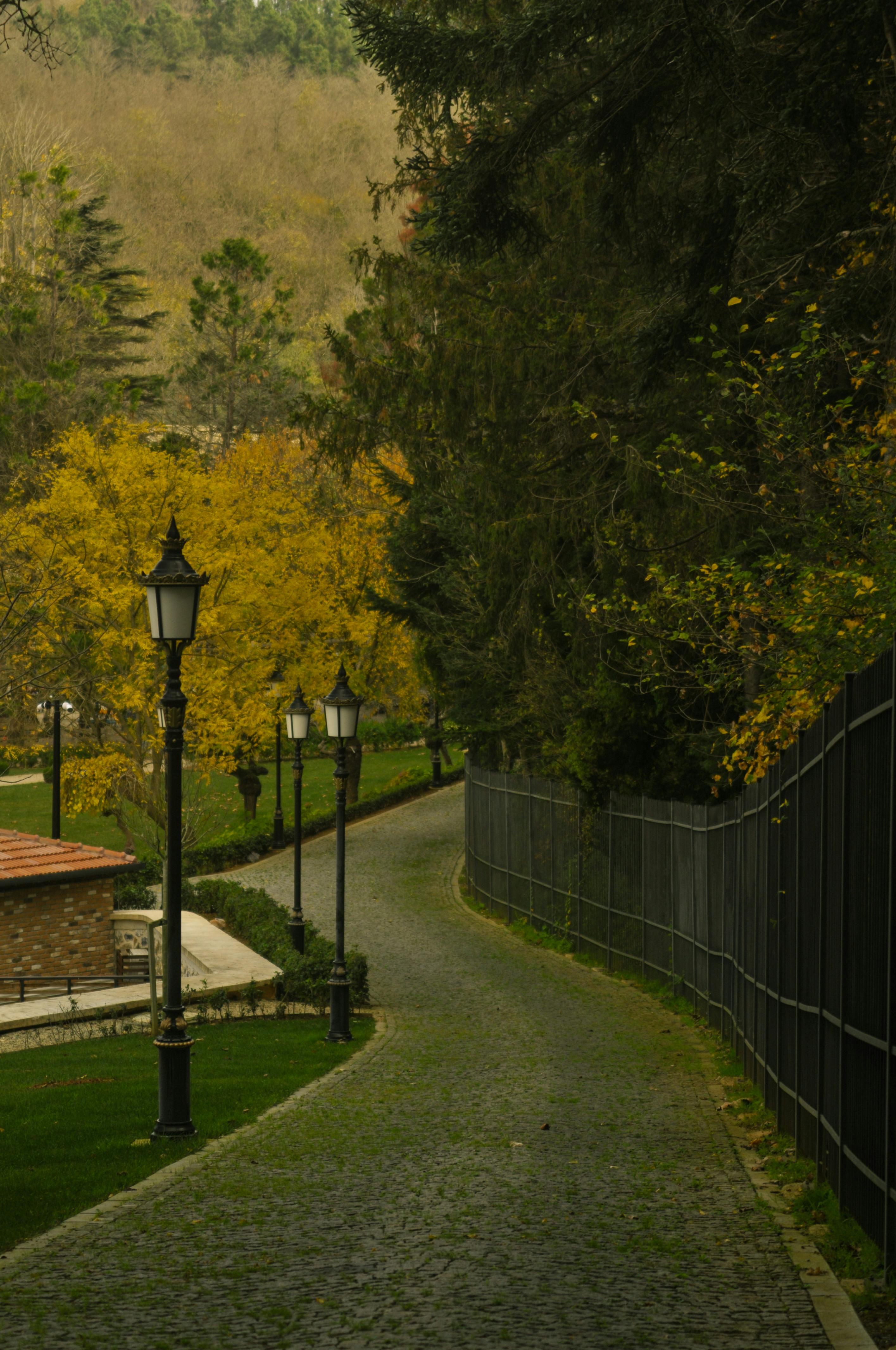 Paved Path in Park · Free Stock Photo