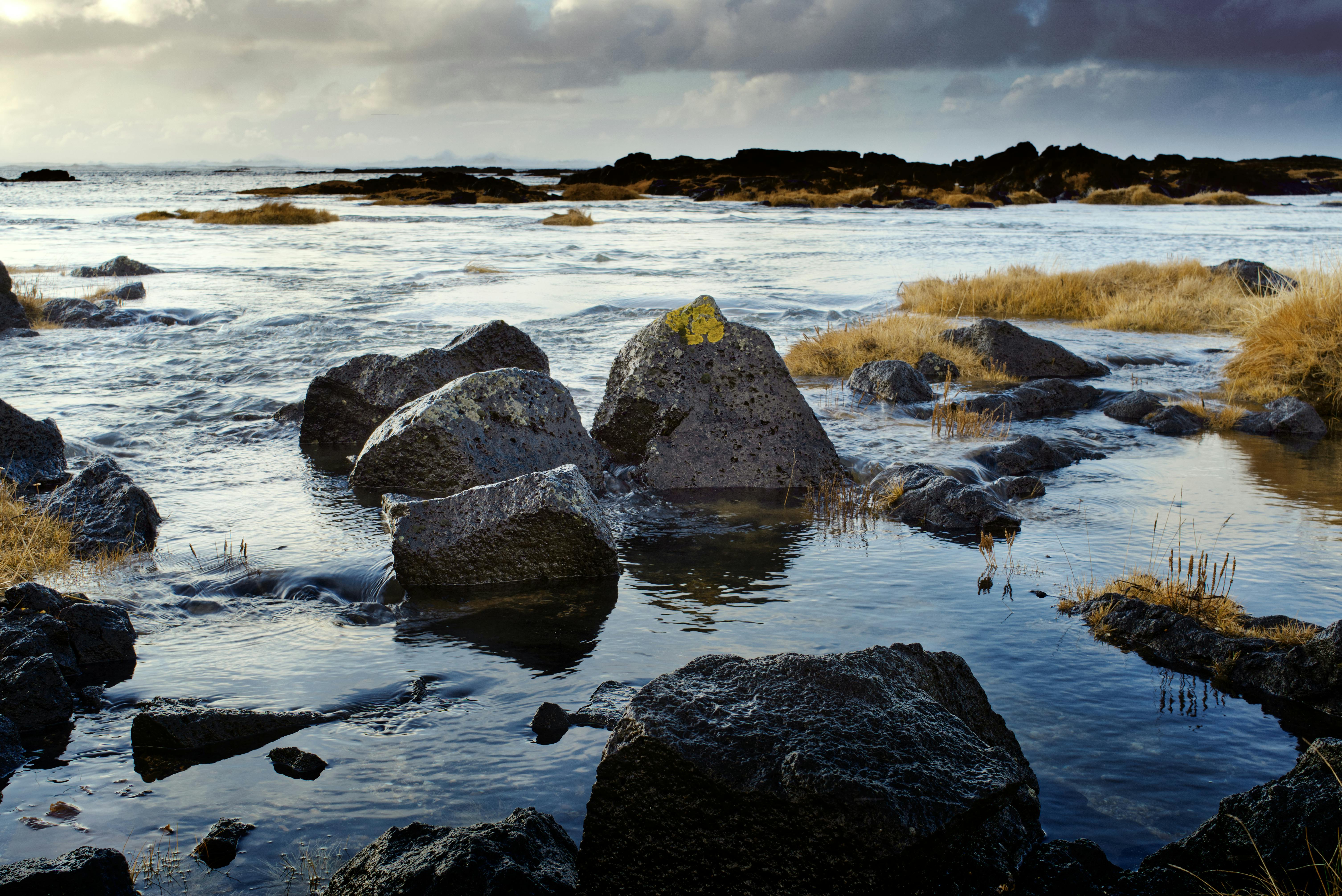 Big Rocks on the Shore · Free Stock Photo