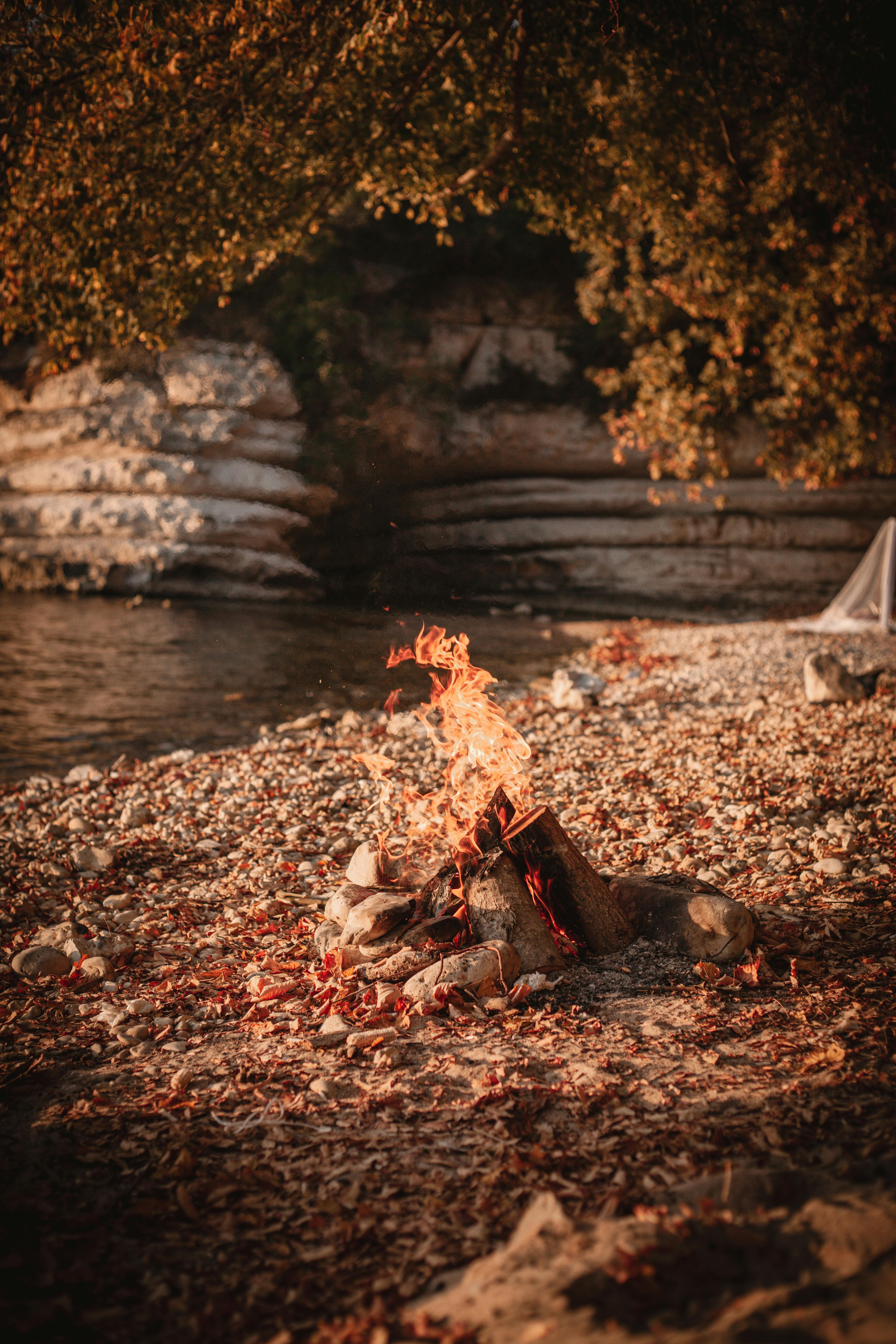 Campfire by River · Free Stock Photo