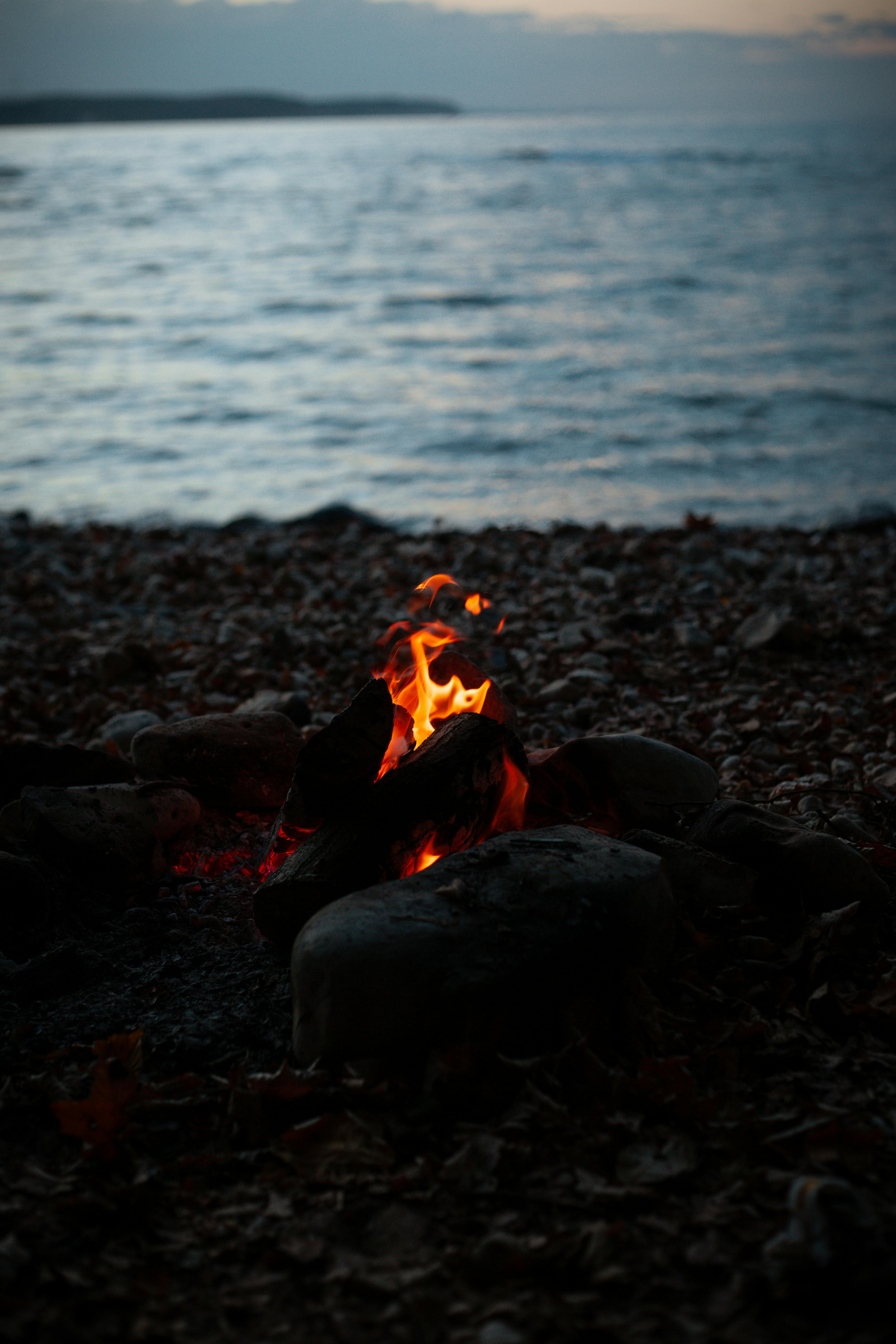 Bonefire at the Sea · Free Stock Photo