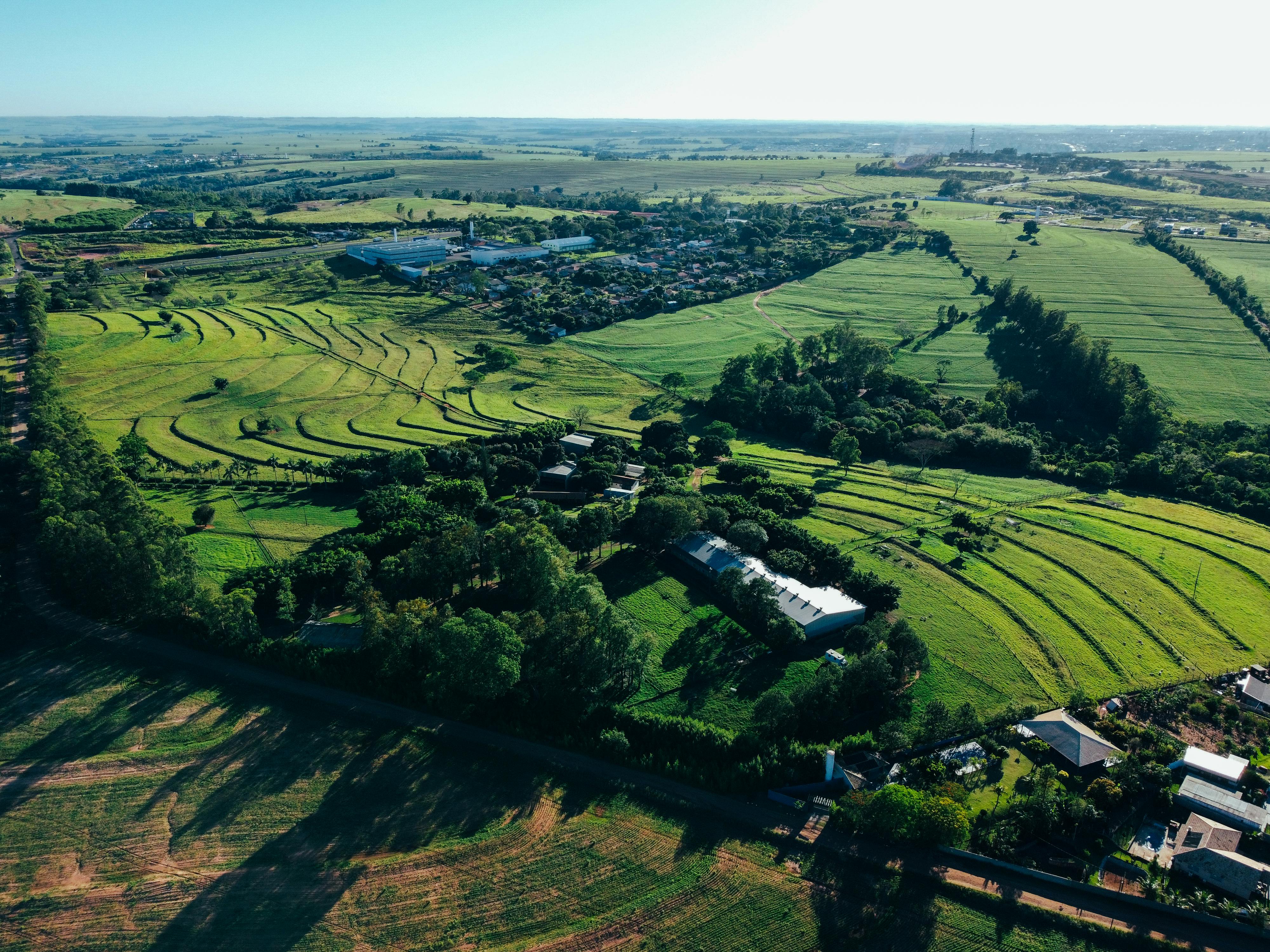 Foto profissional gratuita de aerofotografia, agricultura, agricultura ...