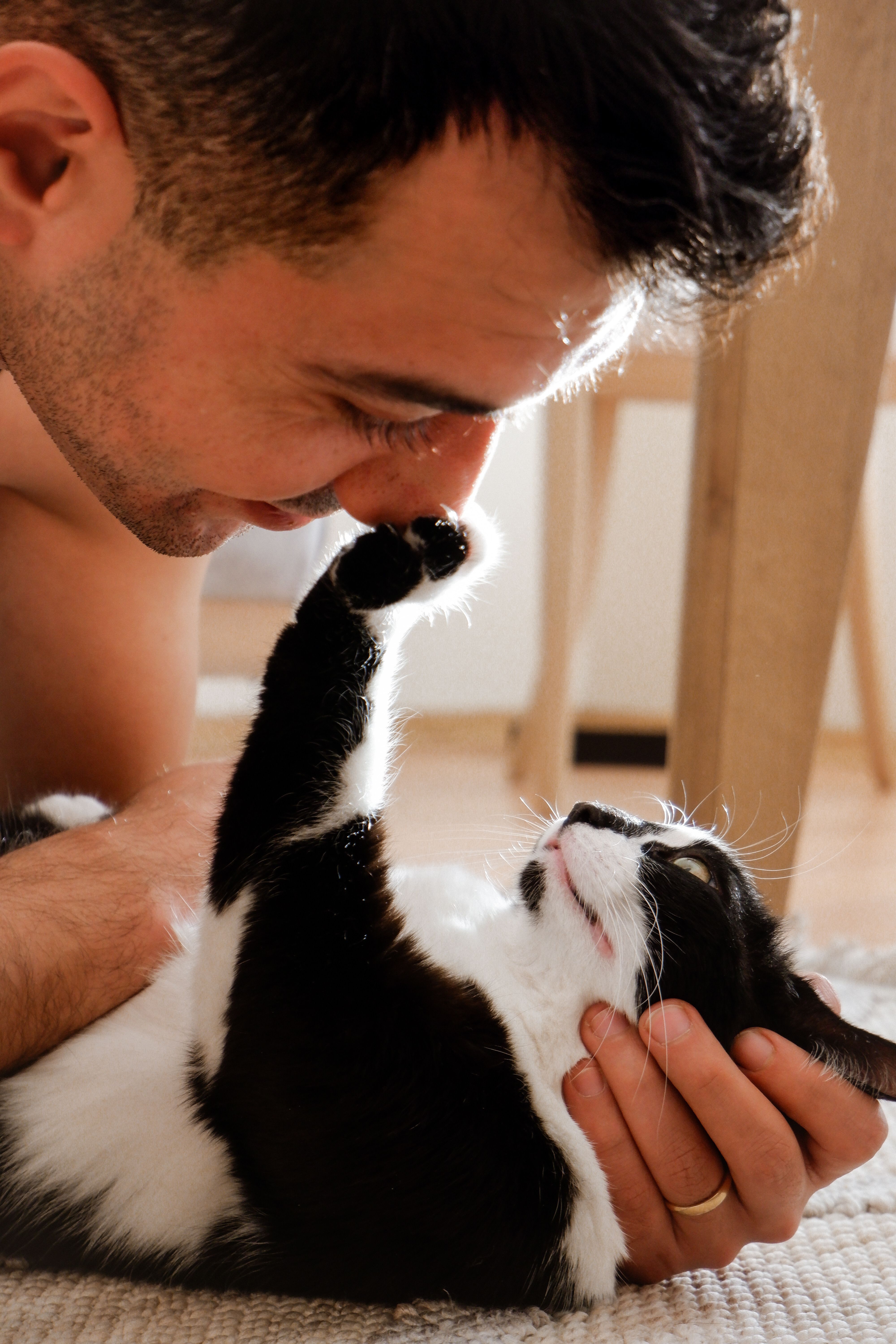 Man Playing with Cat · Free Stock Photo