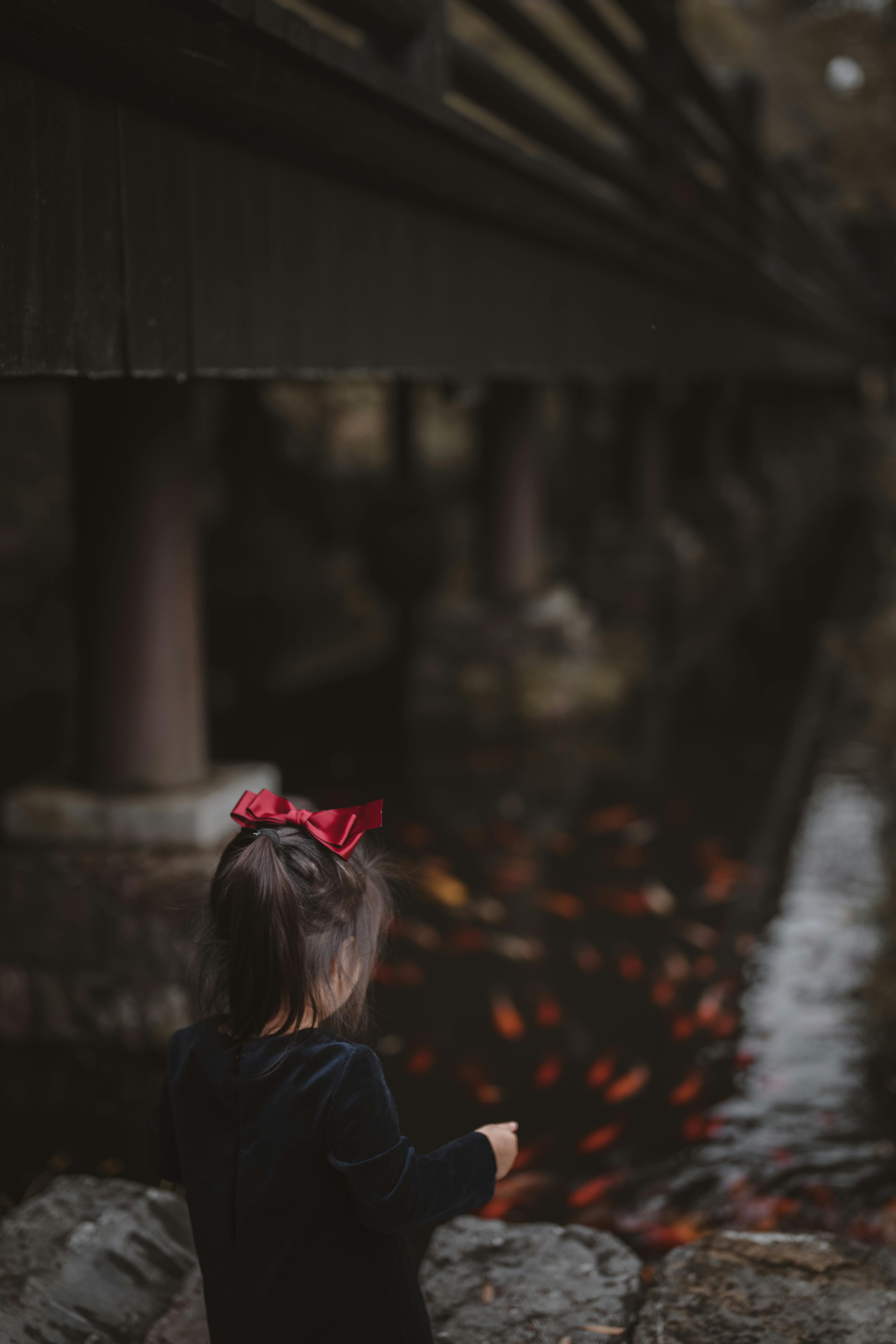 Back View of a Girl with a Red Bow · Free Stock Photo
