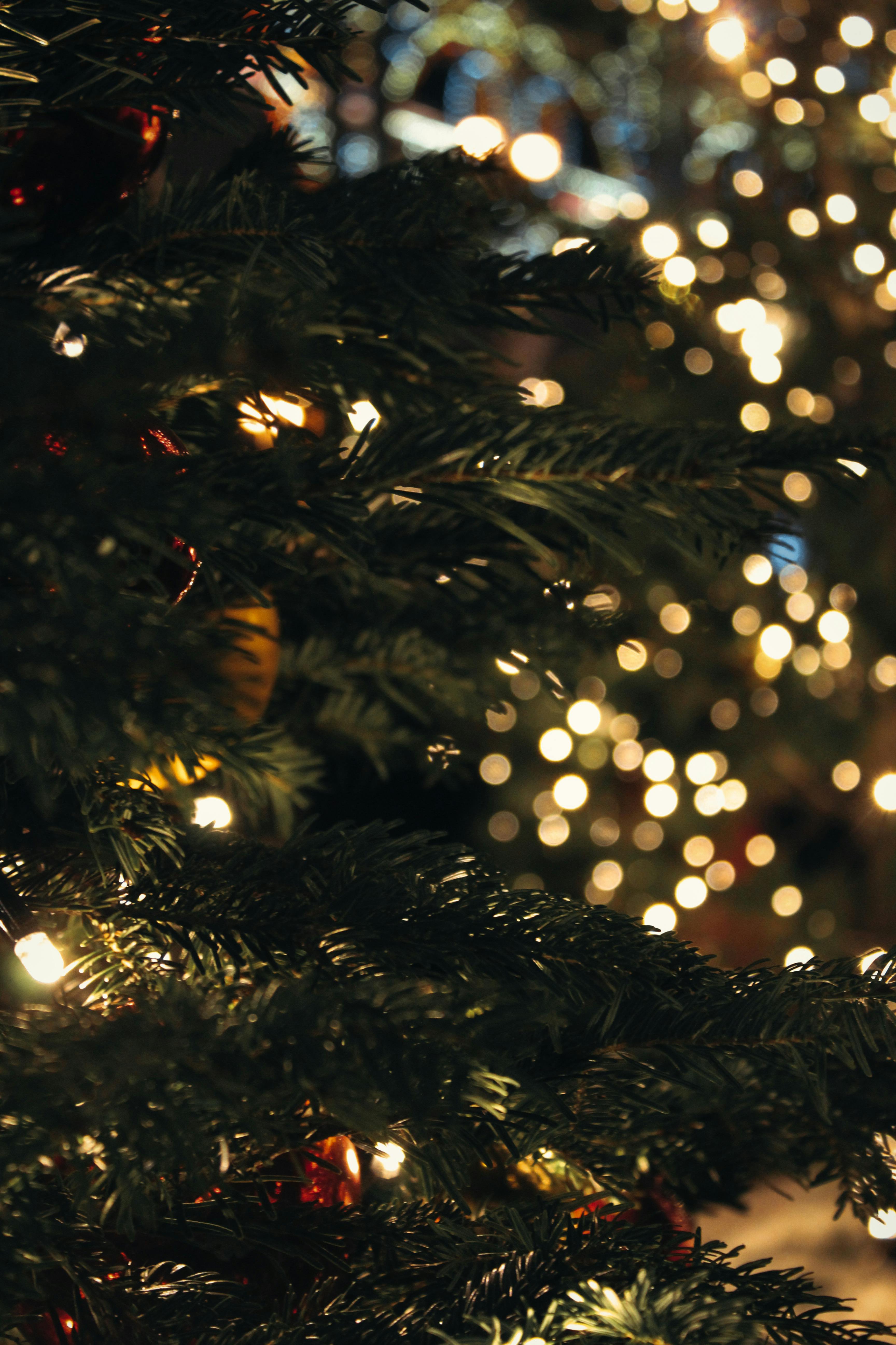 Selective Focus Photography of String Lights · Free Stock Photo