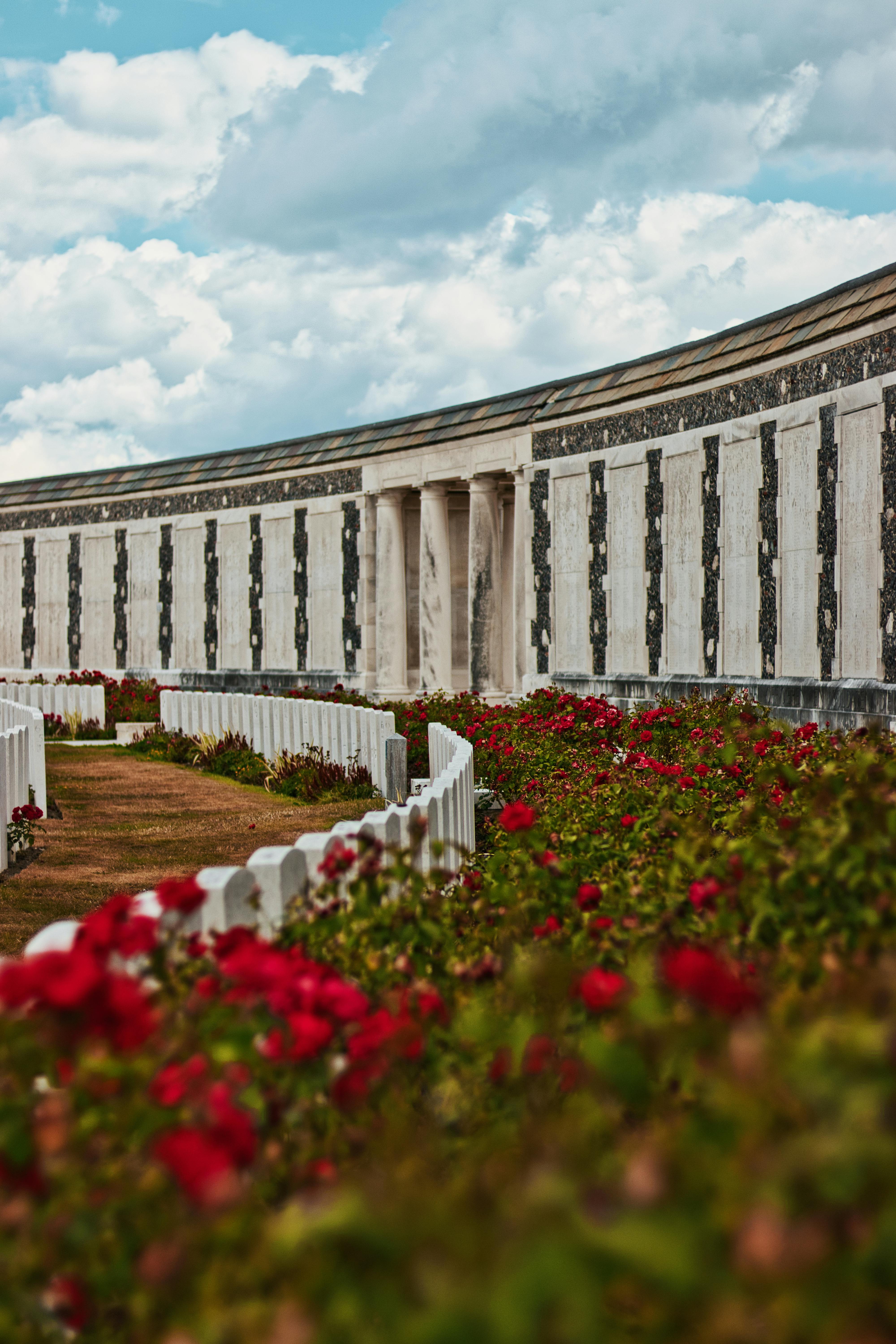 Tom Swinnen - Fotografía