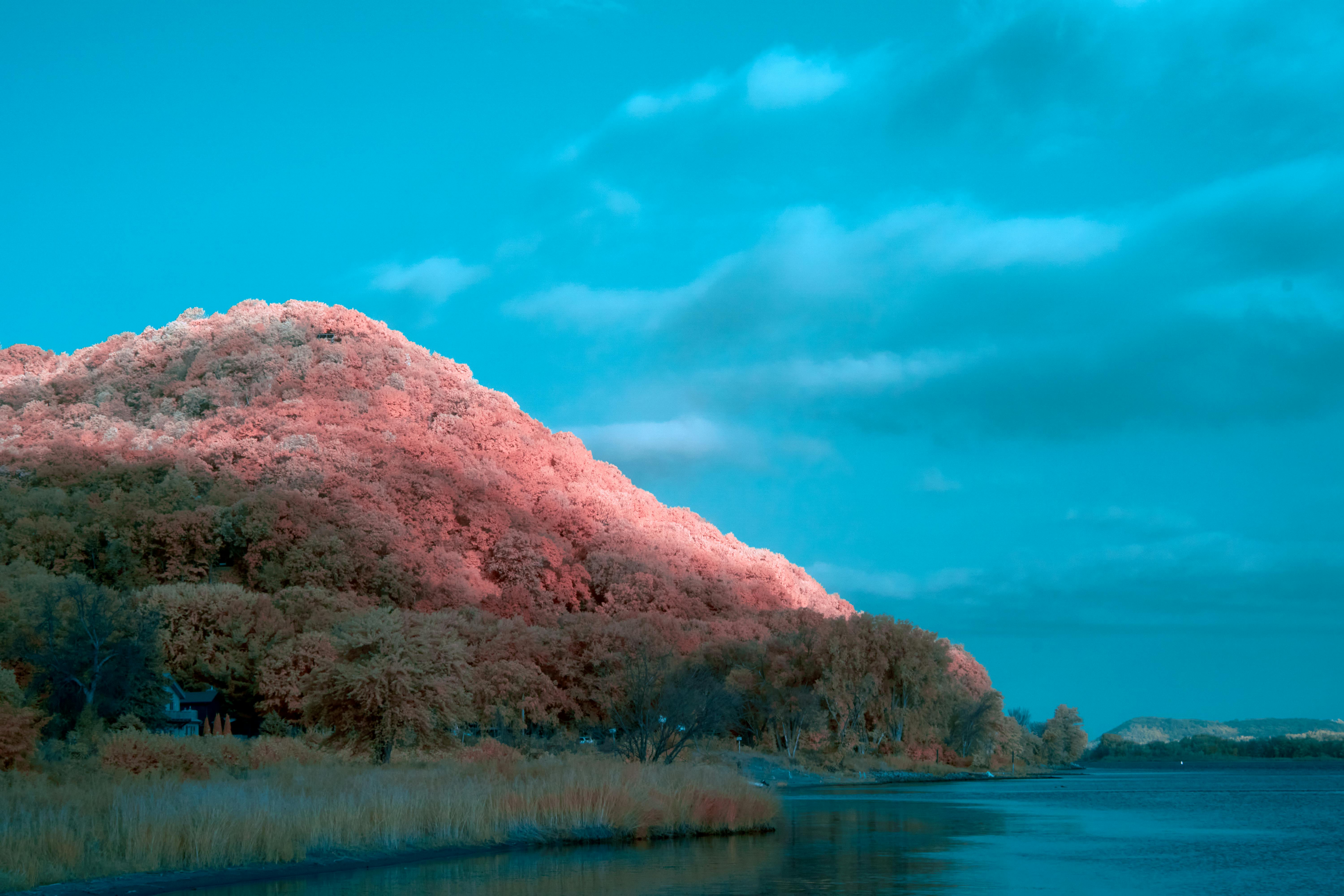 View of a Lakeshore in Spring · Free Stock Photo