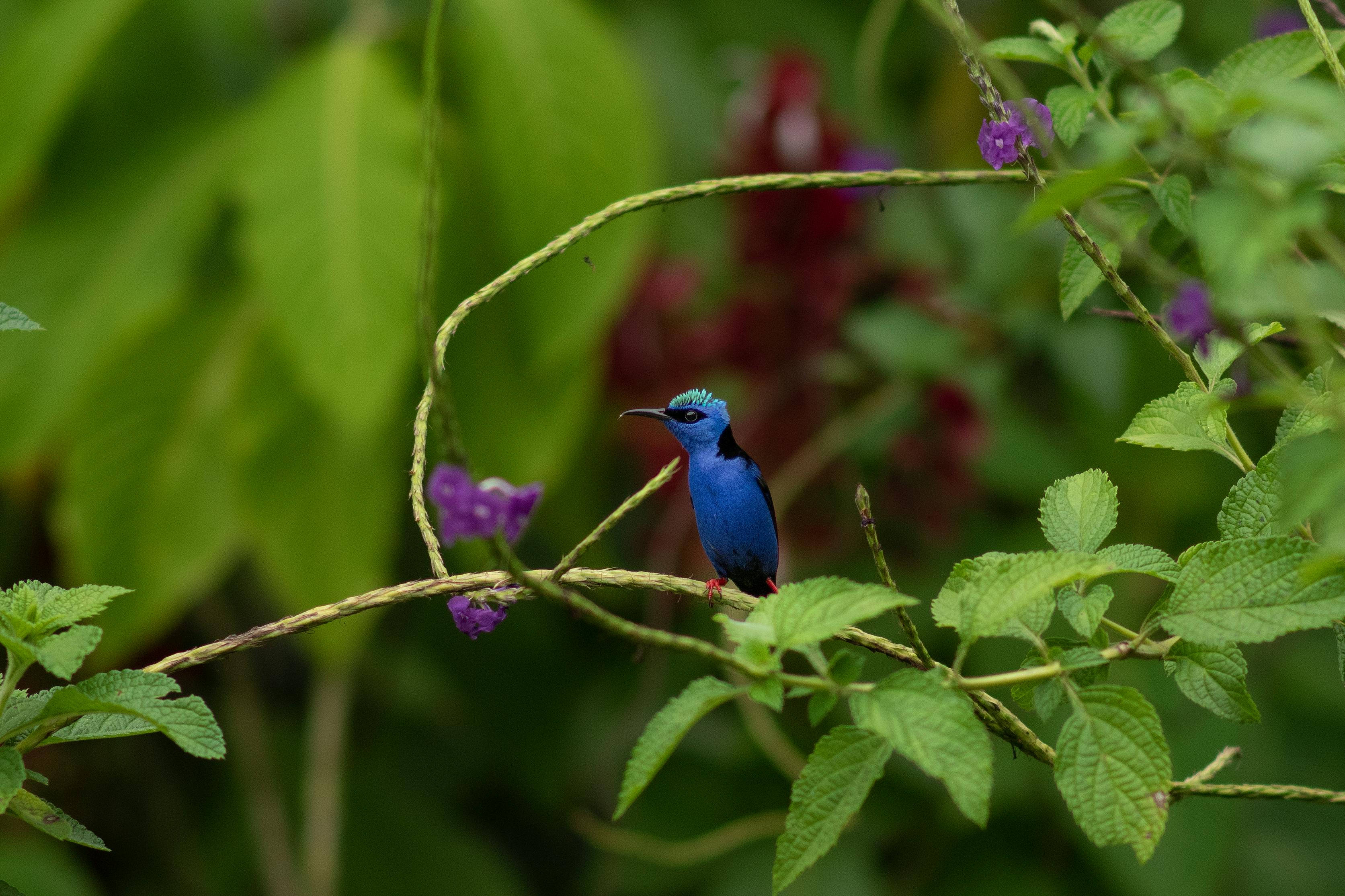 Hd Wallpaper Small Size Photos, Download The BEST Free Hd Wallpaper ...